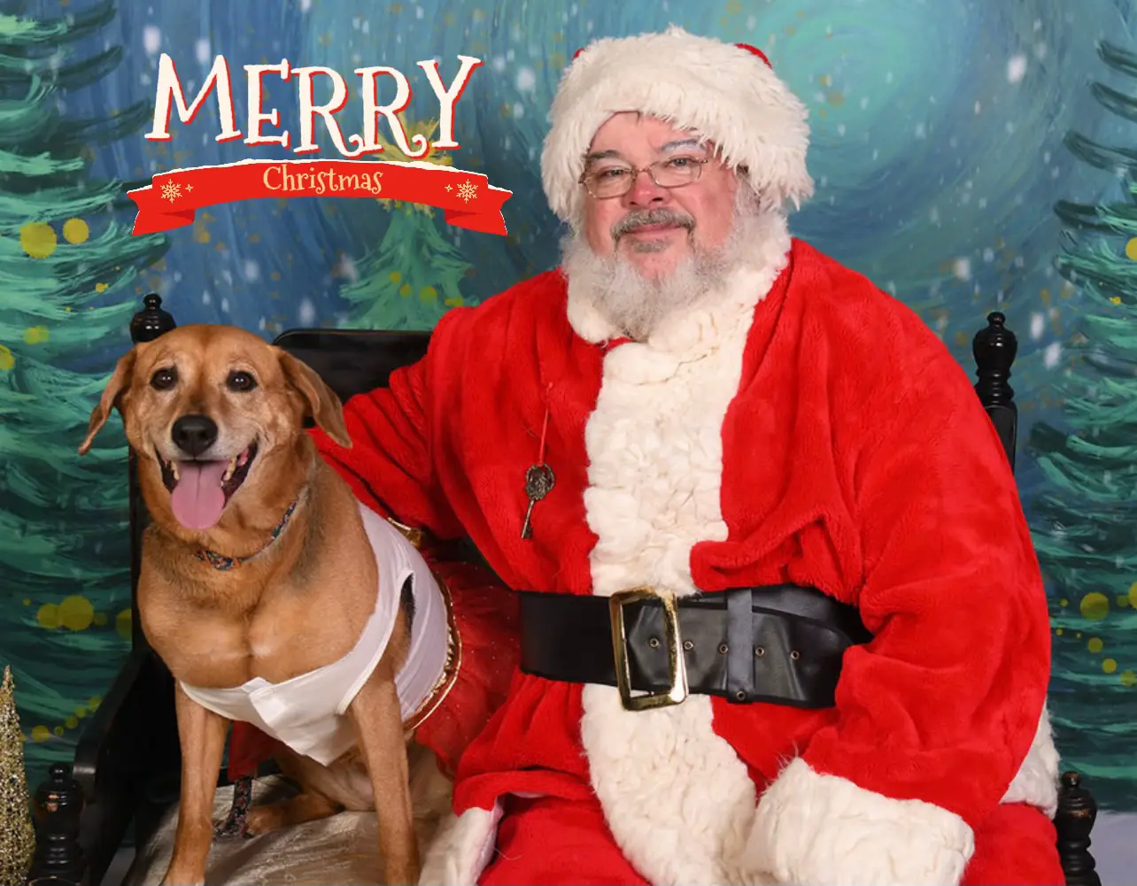 Merry Christmas Eve | Gallery posted by 💕 Kee 🧁 | Lemon8