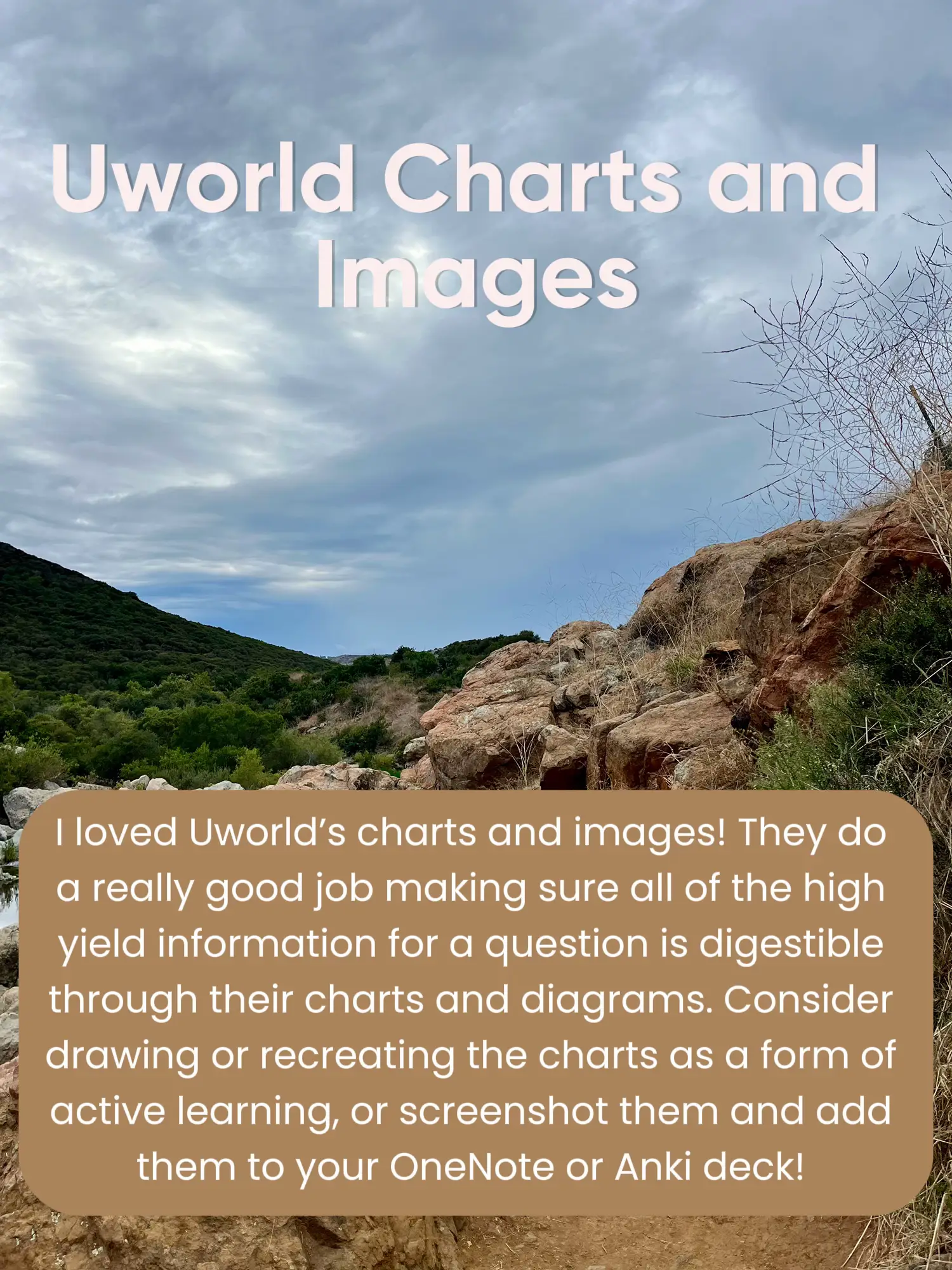 The BEST way to use Uworld, IMO | Gallery posted by Em Barnard, MD | Lemon8