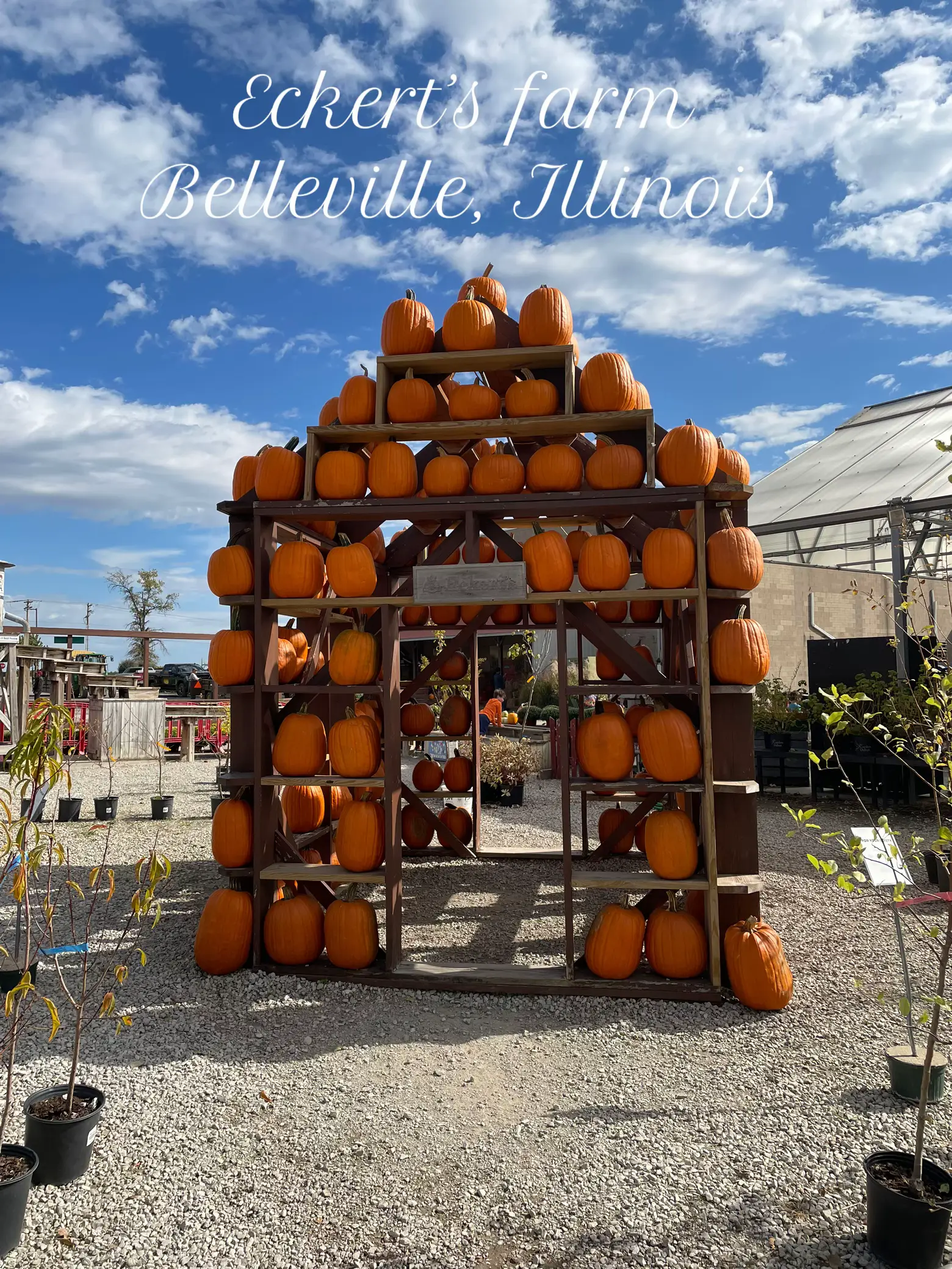 Eckert’s farm Belleville, Illinois 🎃🐻🍦 | Gallery posted by Summer ...