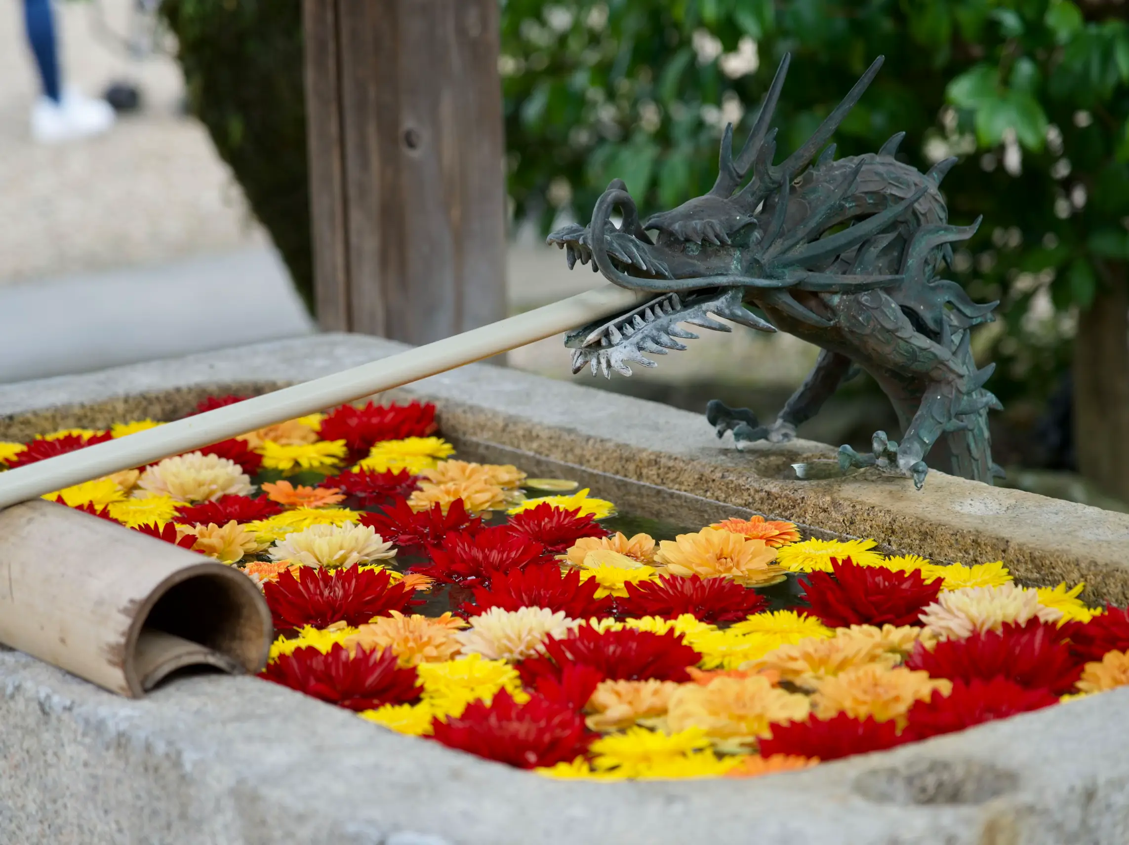 大阪府枚方市 片埜神社⛩️ | kyoto_kenが投稿したフォトブック | Lemon8