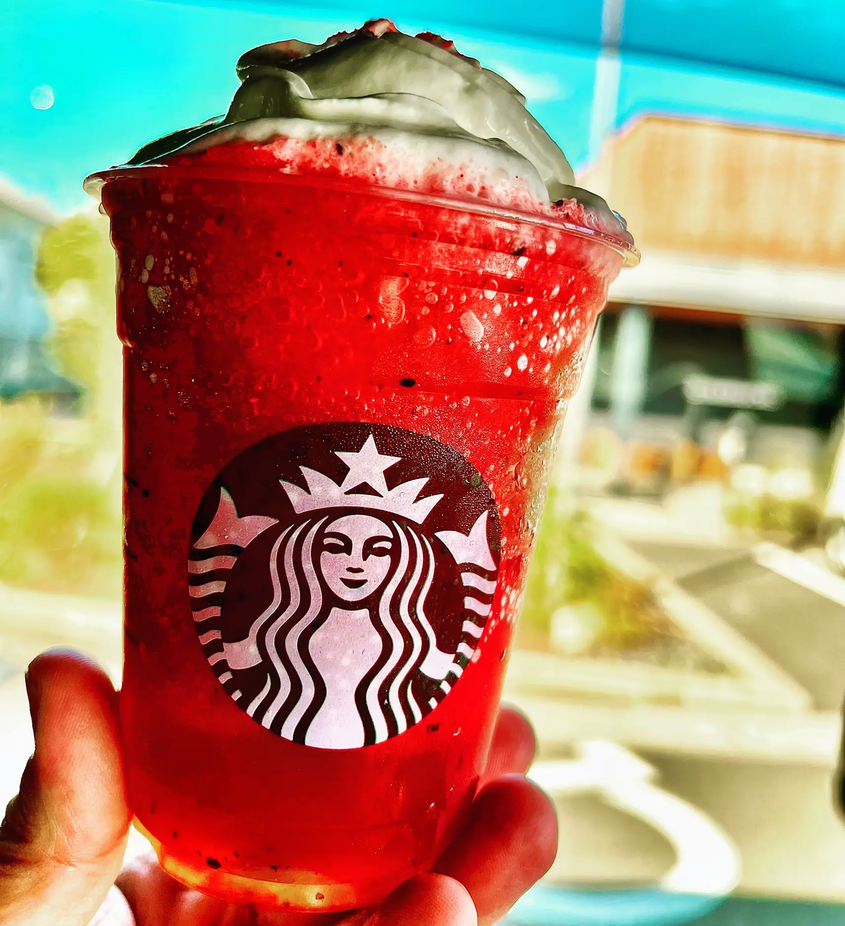 スタバの新作 | kyoto_kenが投稿したフォトブック | Lemon8