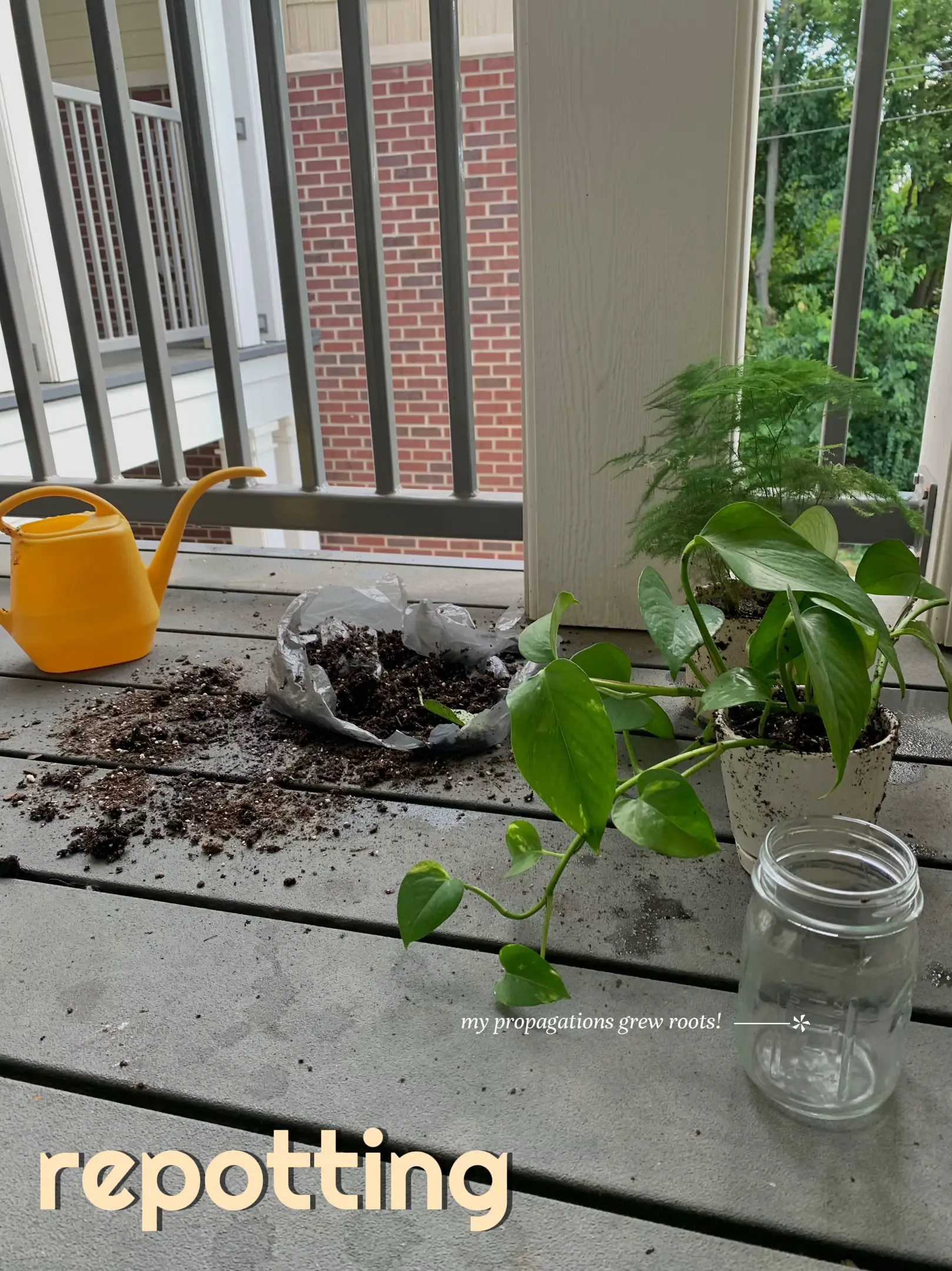 things I did today 🧺🛍️📚 | Gallery posted by cameron🫧🪩 | Lemon8