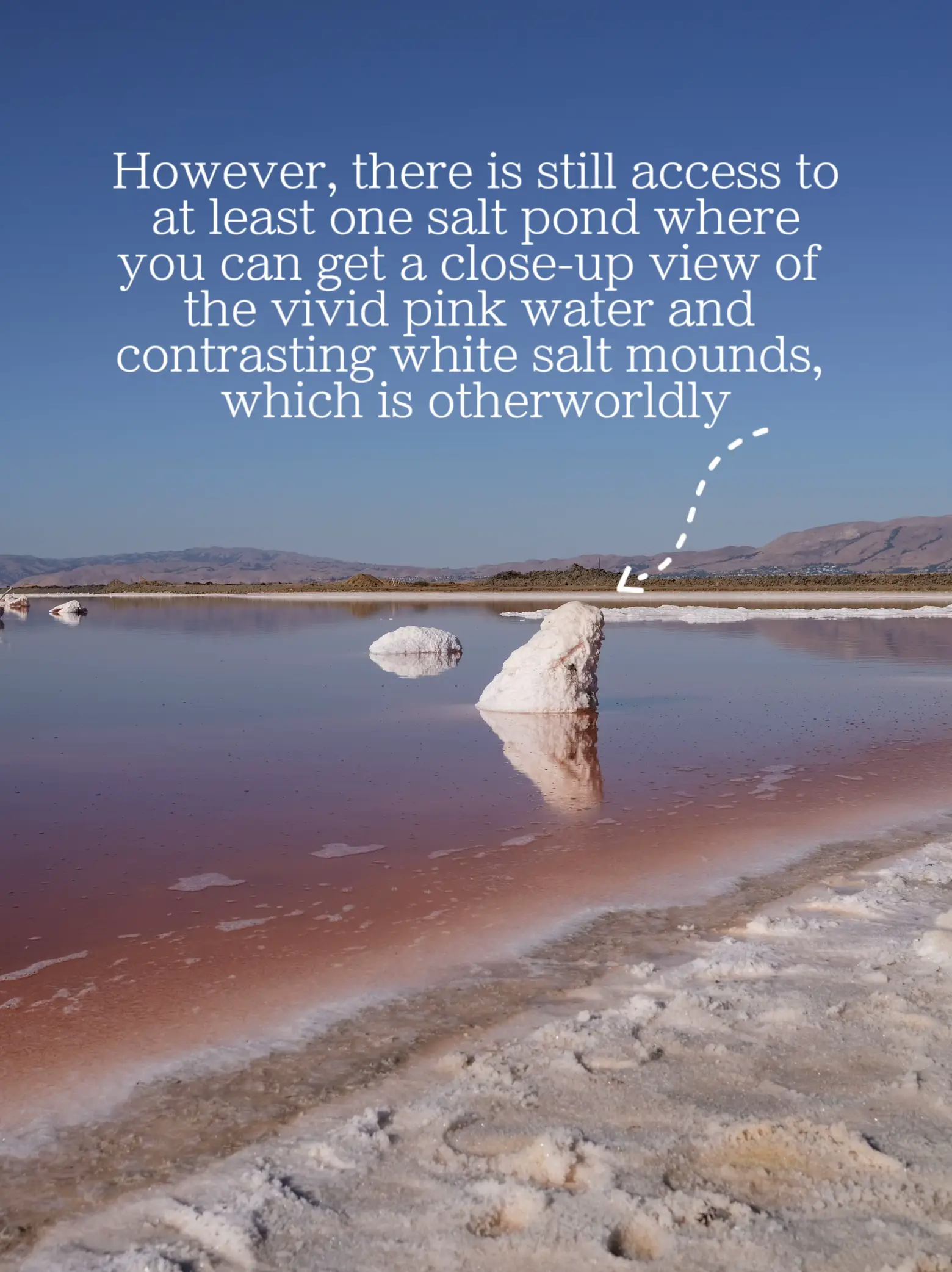 Alviso Marina County Salt flats | Gallery posted by Anna | SF | Lemon8