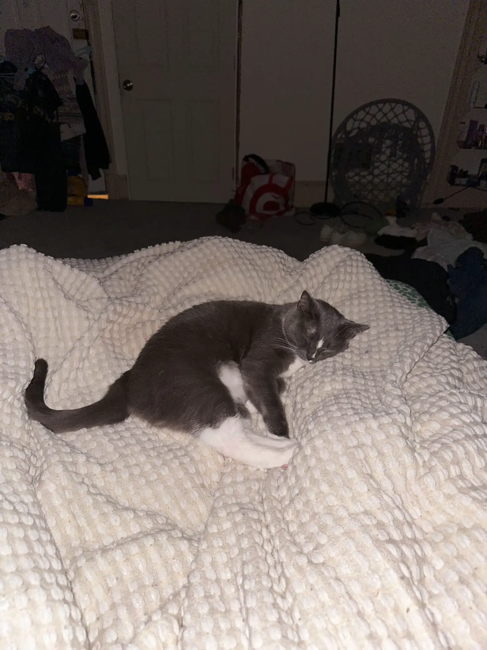 June Dump😌 | Gallery posted by gianna chaney | Lemon8