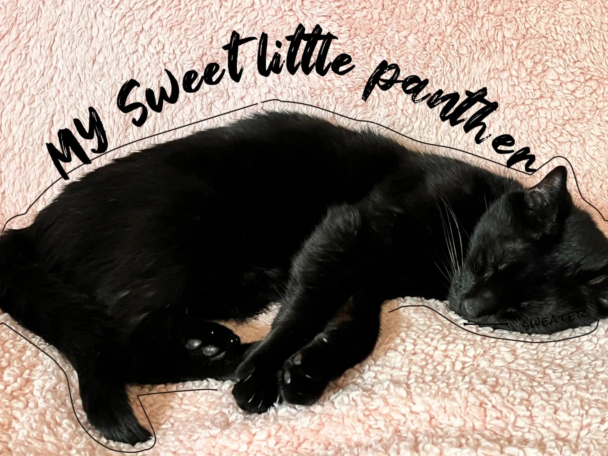 My tiny little panther 🐈‍⬛ and all his details | Gallery posted by Gee | Lemon8