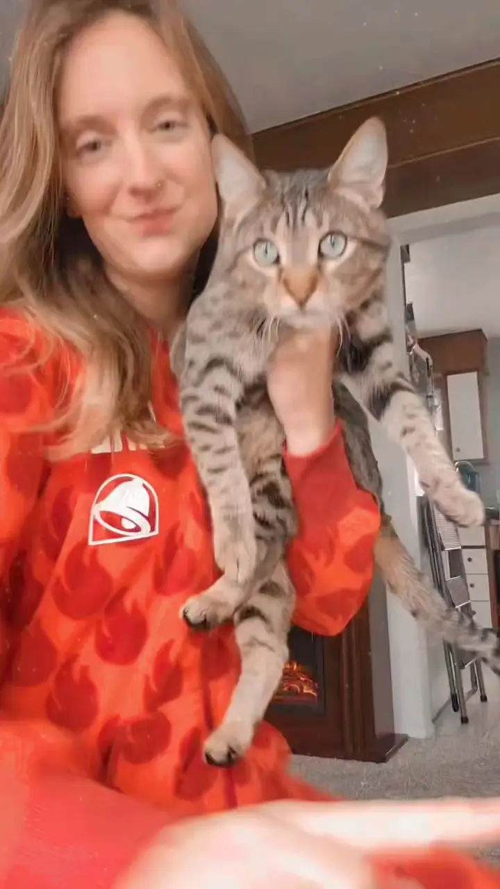 Happy Halloween! | Video published by Alisa | Lemon8