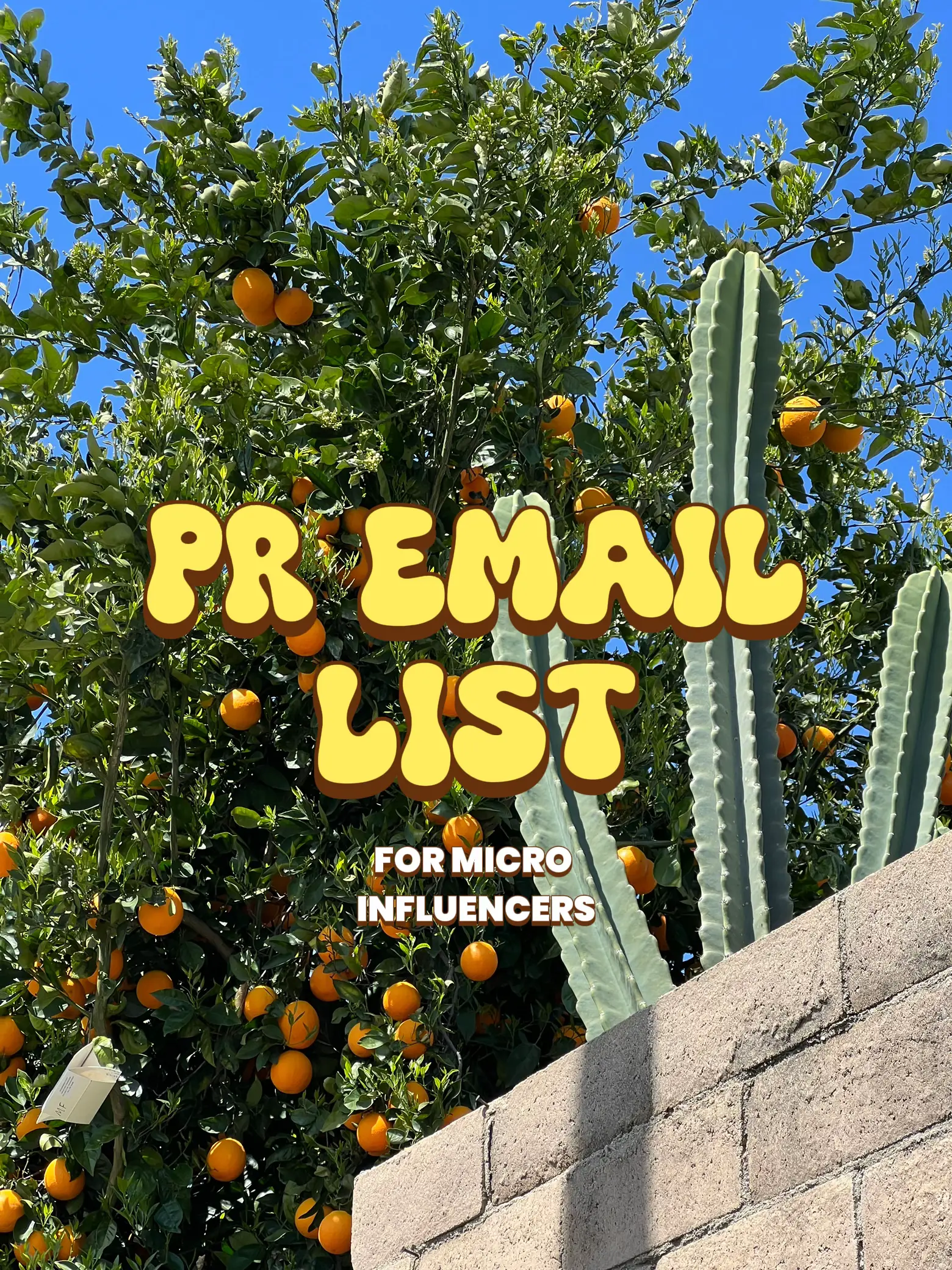 PR Emails 👀 | Gallery posted by Erin Leeper | Lemon8