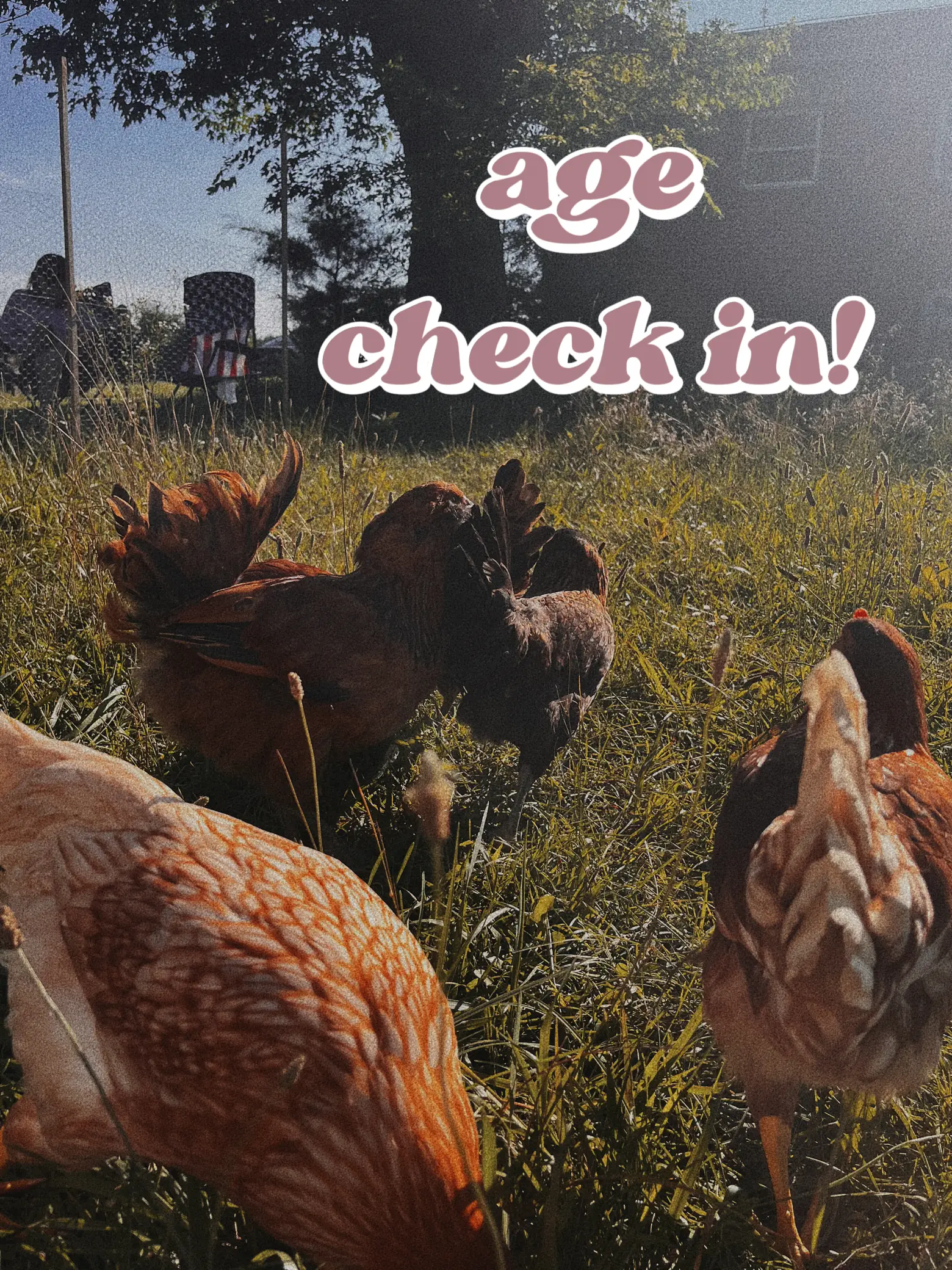 age check in! | Gallery posted by Ariel Rodgers | Lemon8