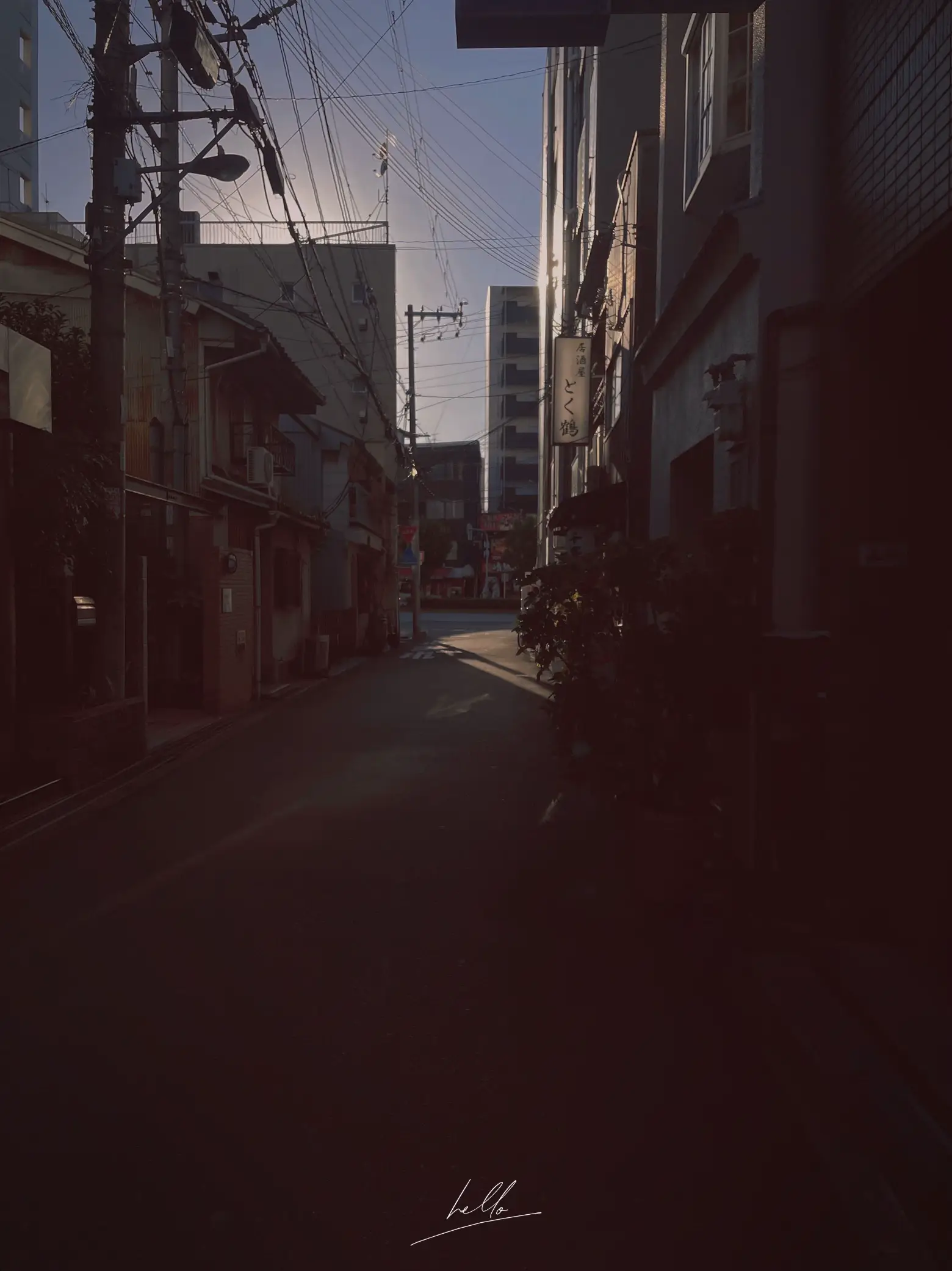 光が綺麗💐iPhoneでエモい写真 | RYOが投稿したフォトブック | Lemon8