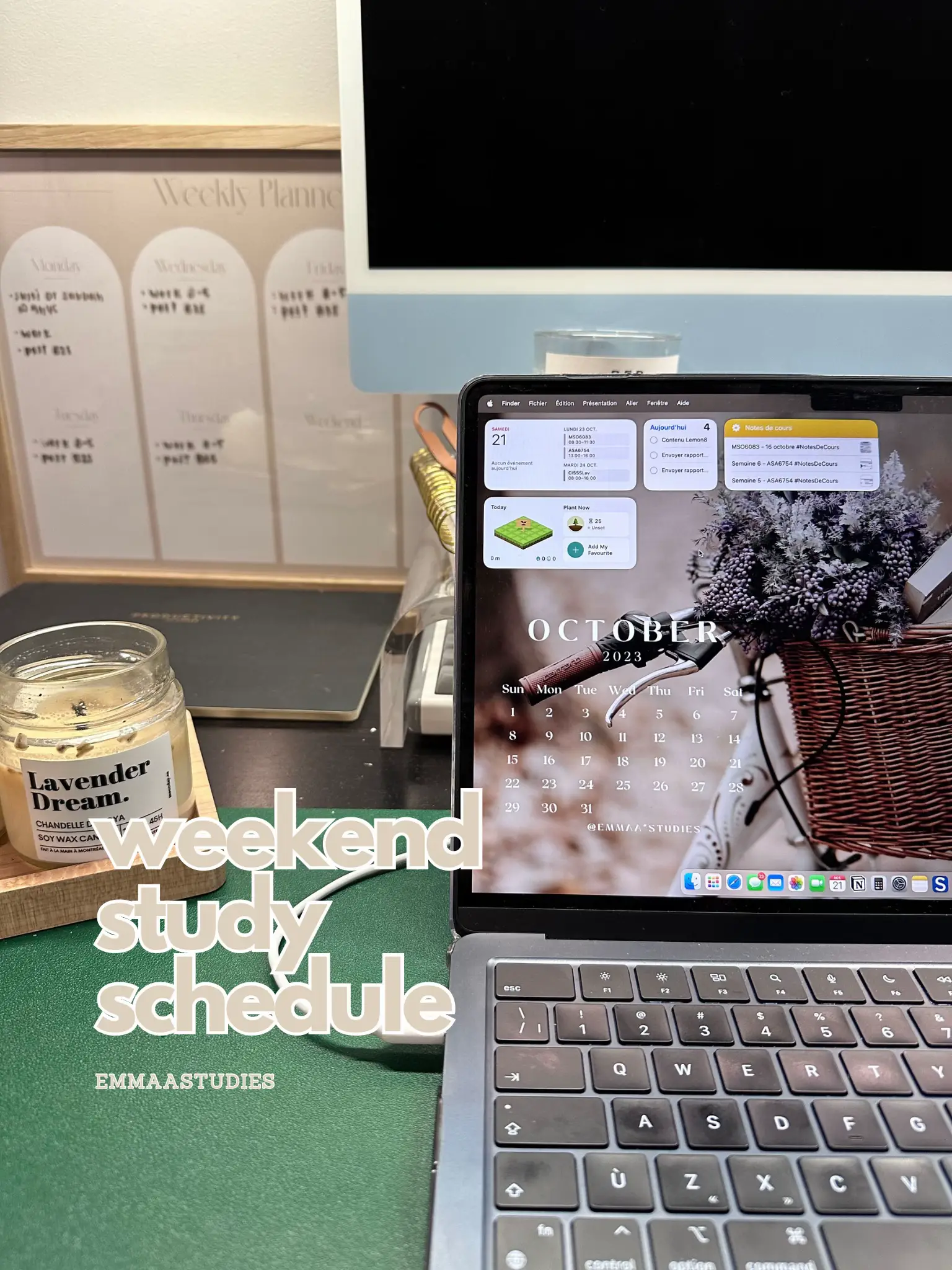 My weekend study schedule | Gallery posted by emmaa studies 🍃 | Lemon8