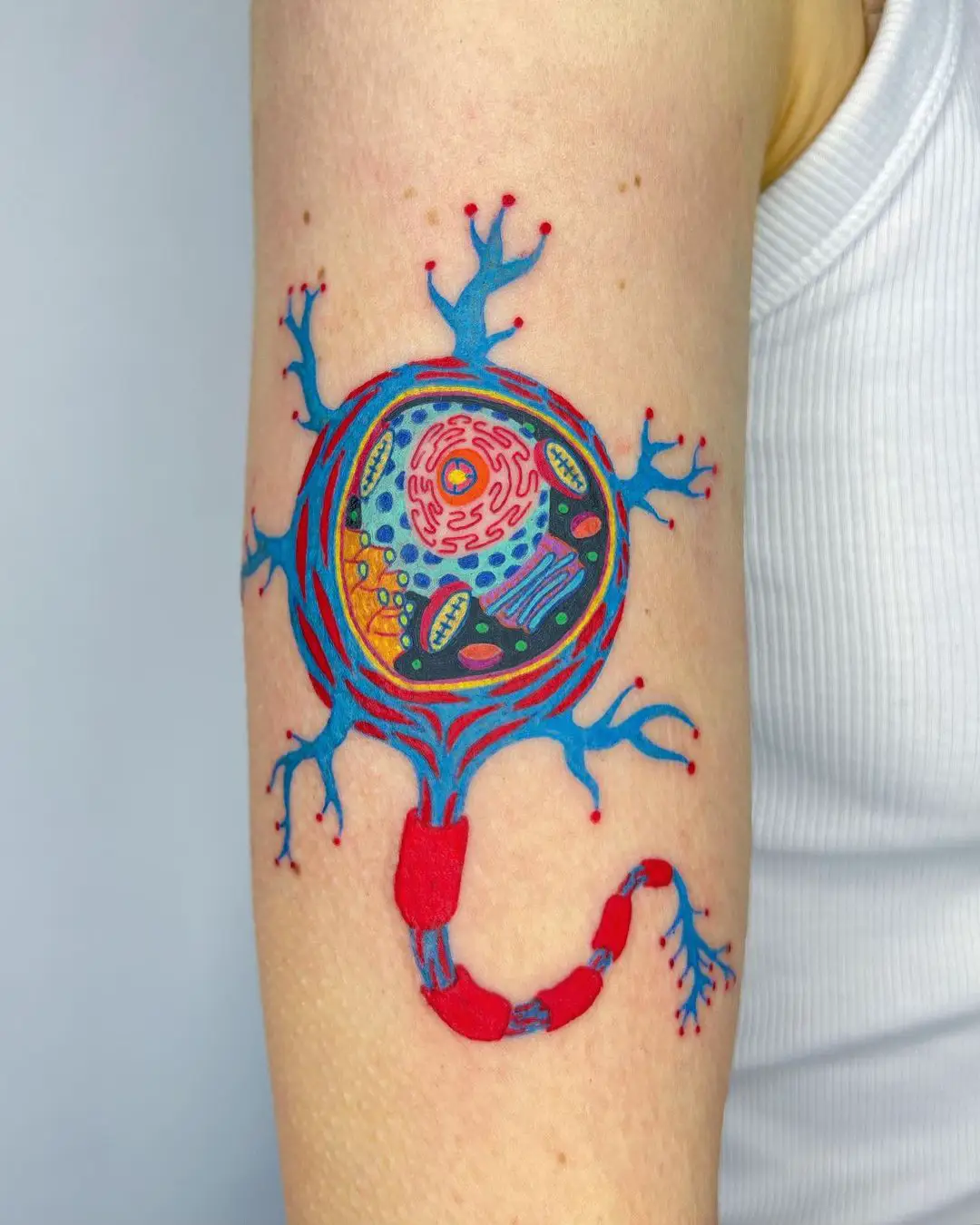 Which one do you like most🫶 | Gallery posted by Griffon Tattoo | Lemon8