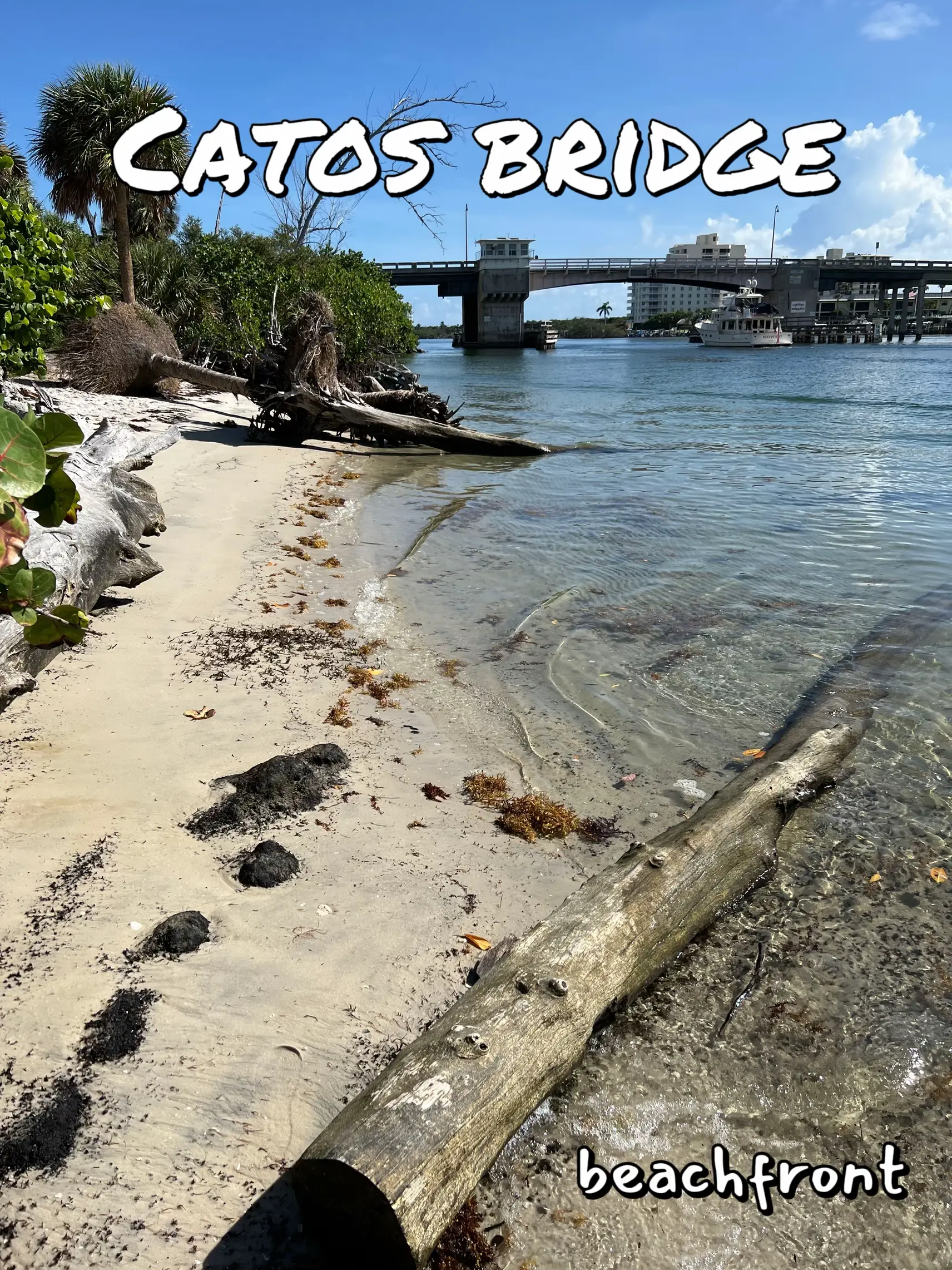 Catos bridge jupiter Florida | Gallery posted by Tori | Lemon8