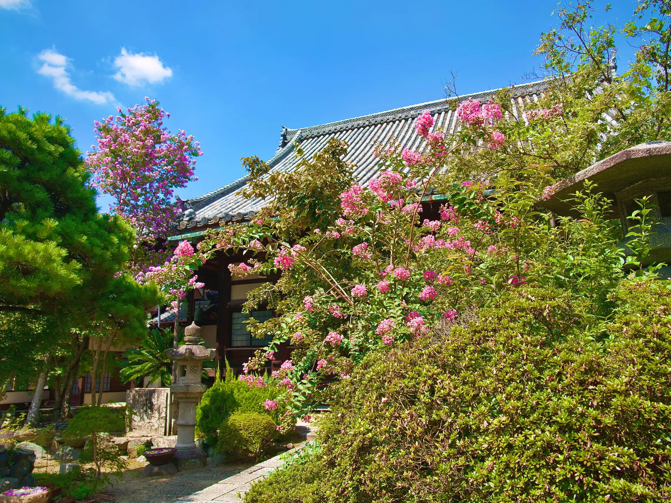 高槻市 浄誓寺 花手水💐 | kyoto_kenが投稿したフォトブック | Lemon8