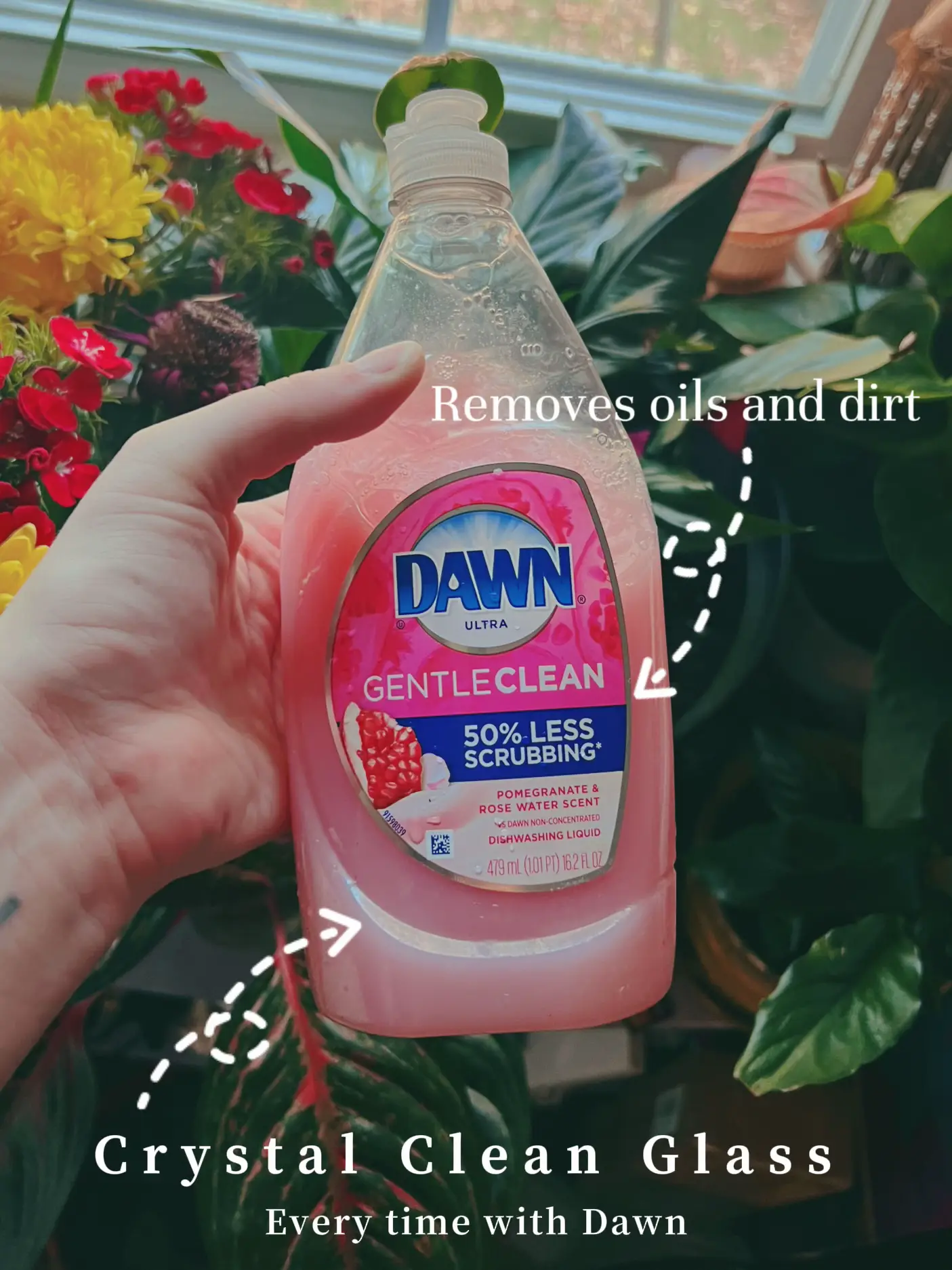 🪞How I Keep Glass Crystal Clear!! | daniisanが投稿したフォトブック | Lemon8