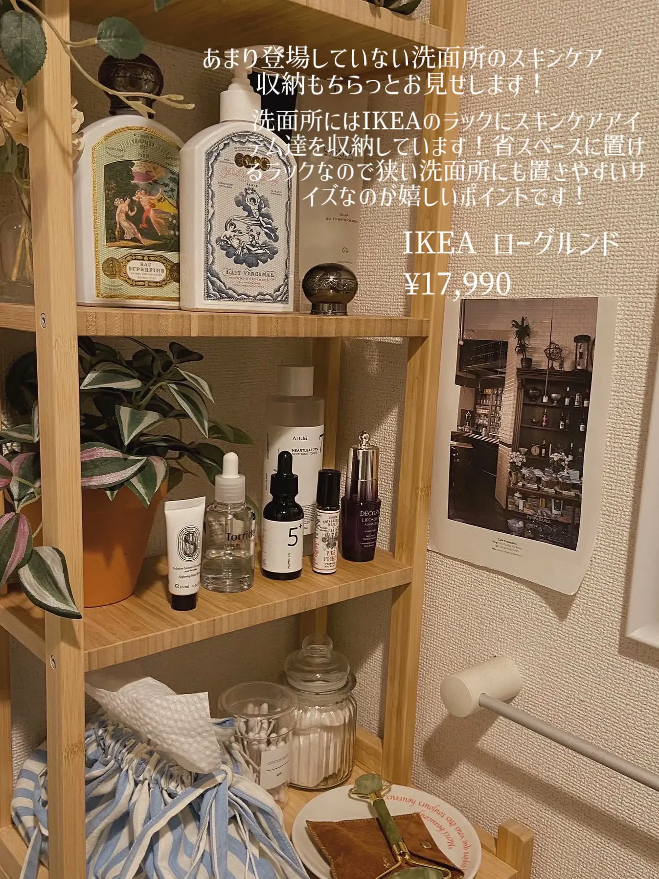 1LDK賃貸アパート間取り紹介🏠正方形リビングでも好きなテイストに📝 | EMIKAが投稿したフォトブック | Lemon8