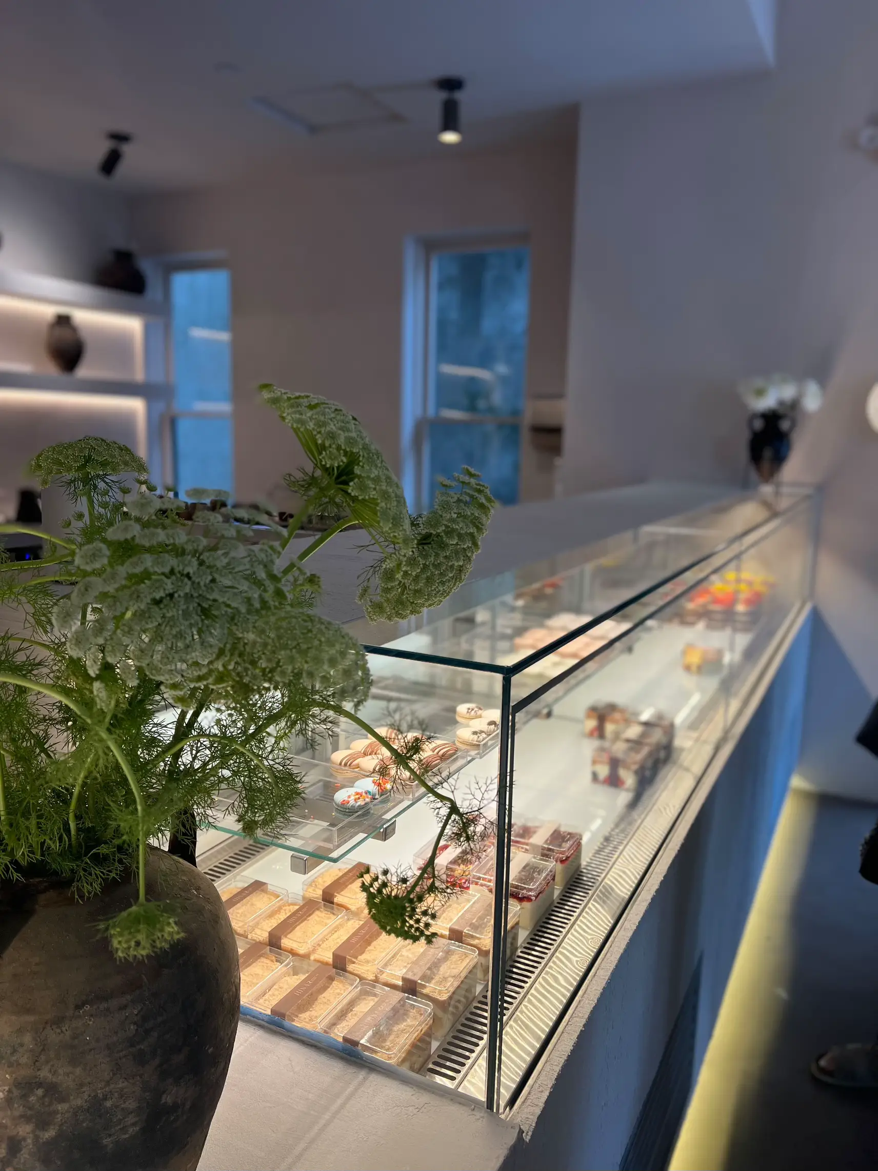 The new Korean bakery in SD | แกลเลอรีที่โพสต์โดย SinaX | Lemon8