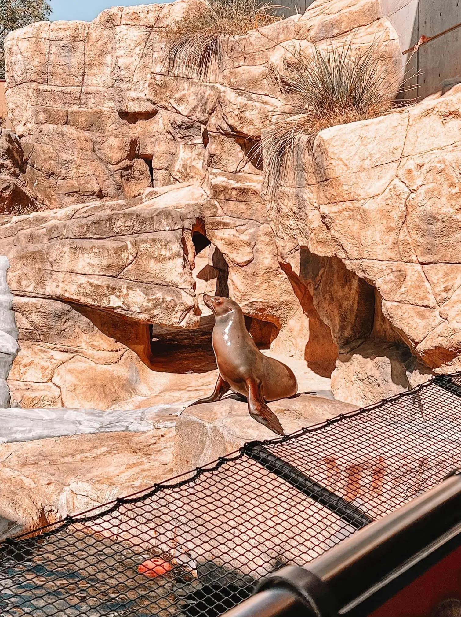 OKC ZOO TRIP | Gallery posted by Faith Briar 🫧 | Lemon8