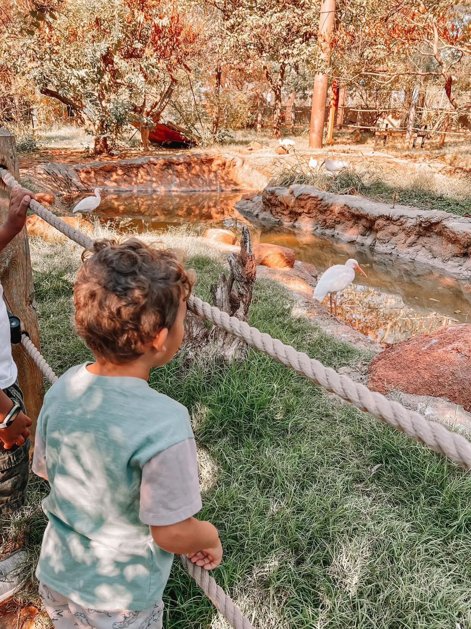 OKC ZOO TRIP | Gallery posted by Faith Briar 🫧 | Lemon8