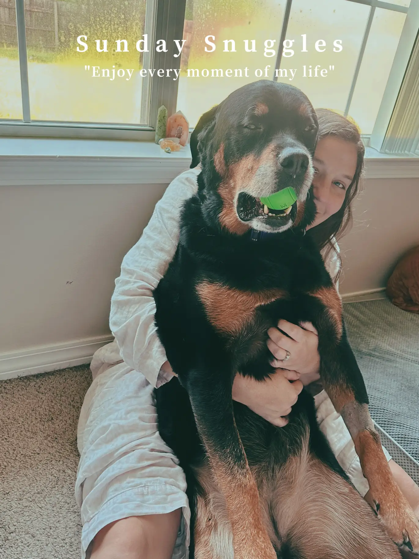 Sunday Snuggles | Gallery posted by GreenGoddess | Lemon8