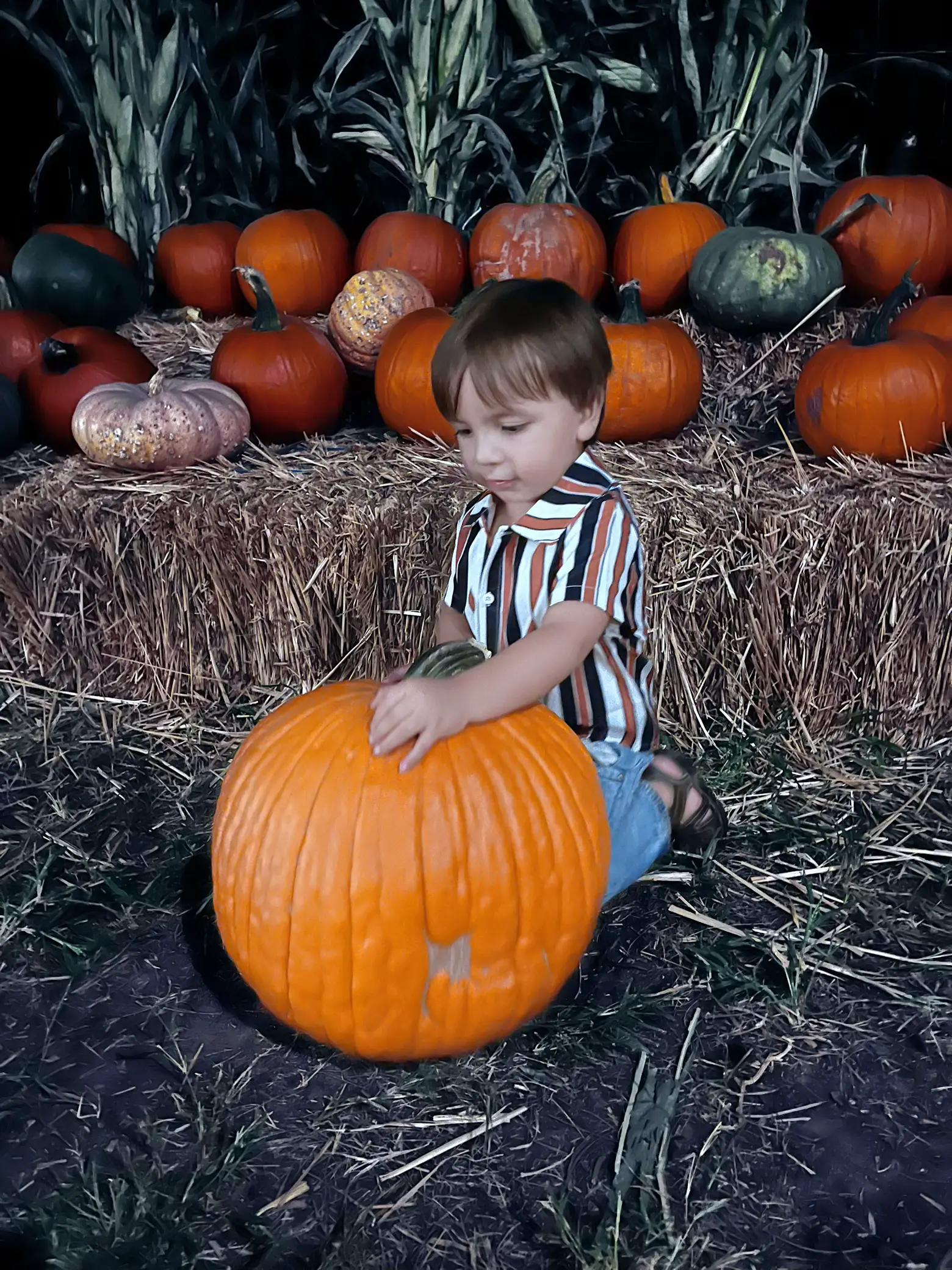 Mother Nature’s Farm | Gallery posted by Jessica E | Lemon8