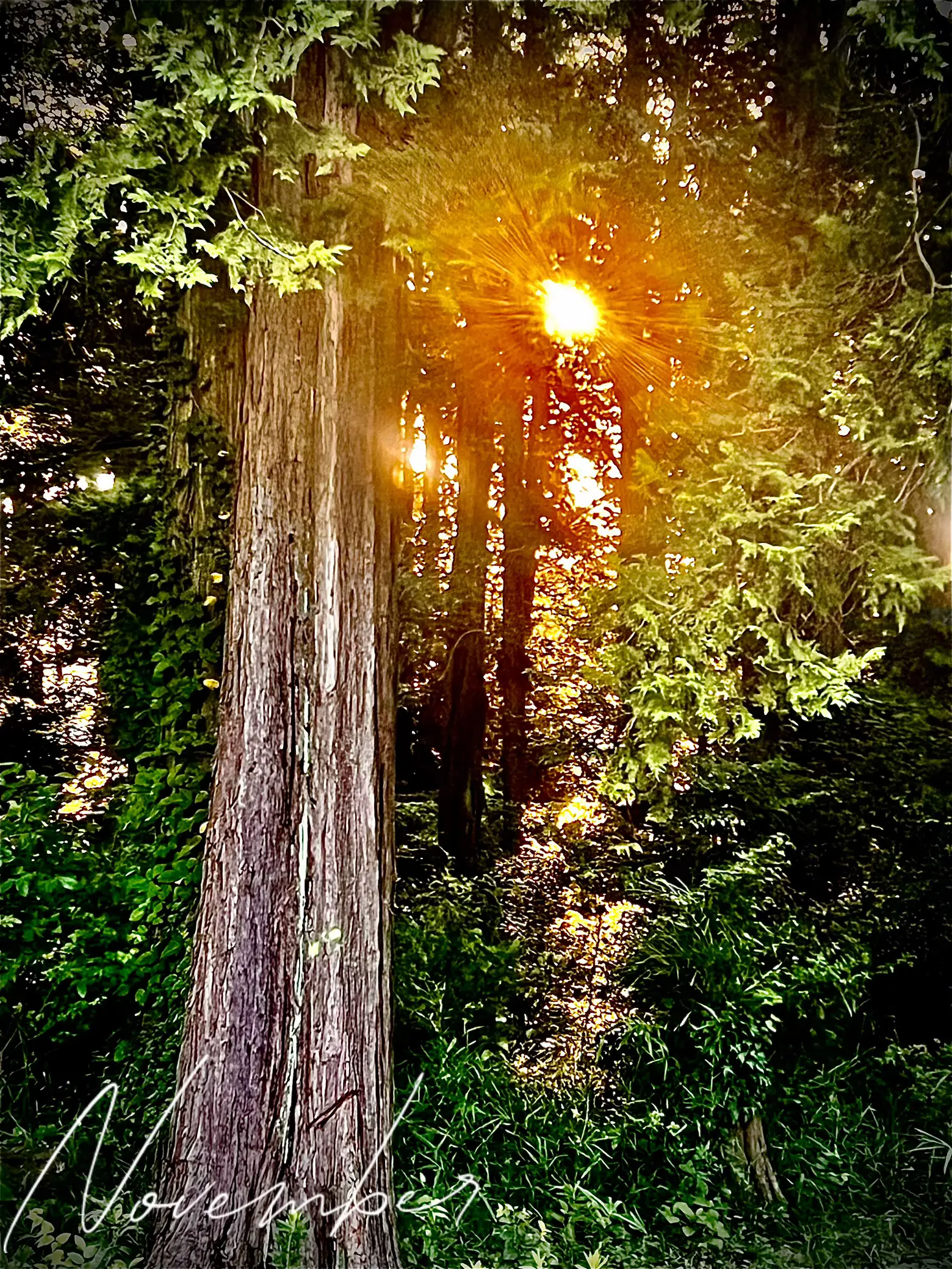 pomirennがコンテンツを投稿しました。確認しましょう！ | Lemon🍋 が投稿したフォトブック | Lemon8