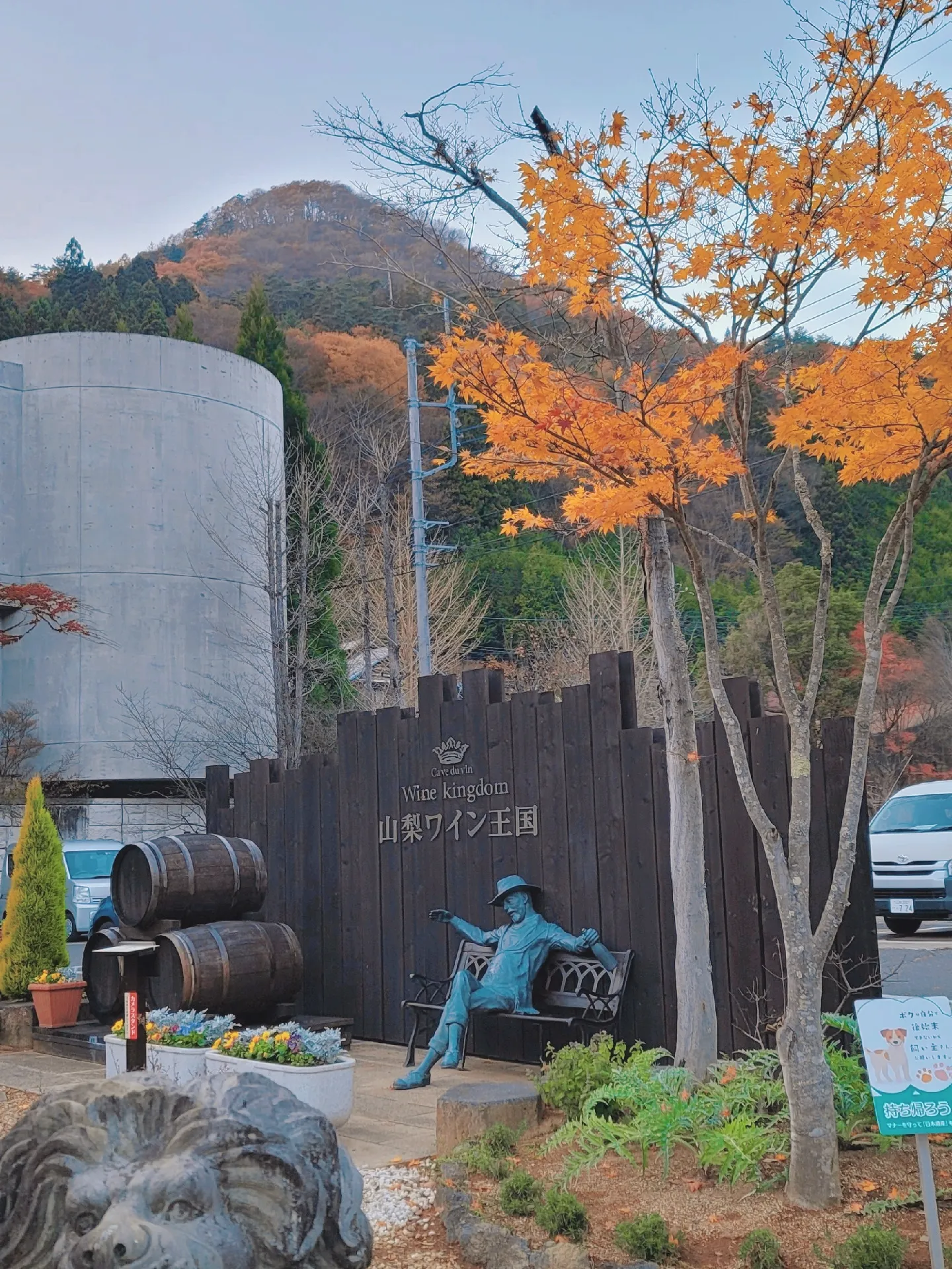 【山梨紅葉】昇仙峡🍁 R5.11/23 | ももが投稿したフォトブック | Lemon8