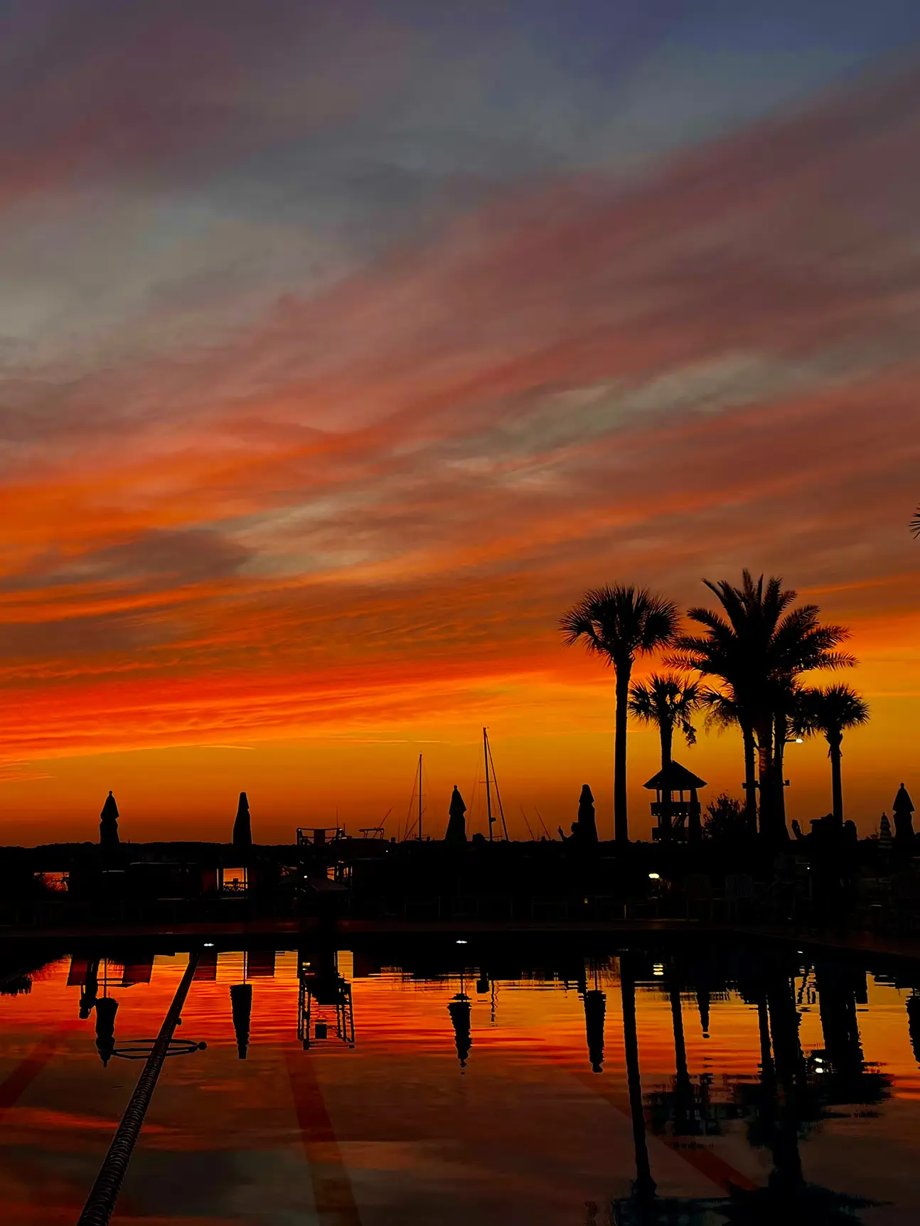Some of the Best Sunsets I’ve Seen this Year 🌞 | Gallery posted by Gray ...