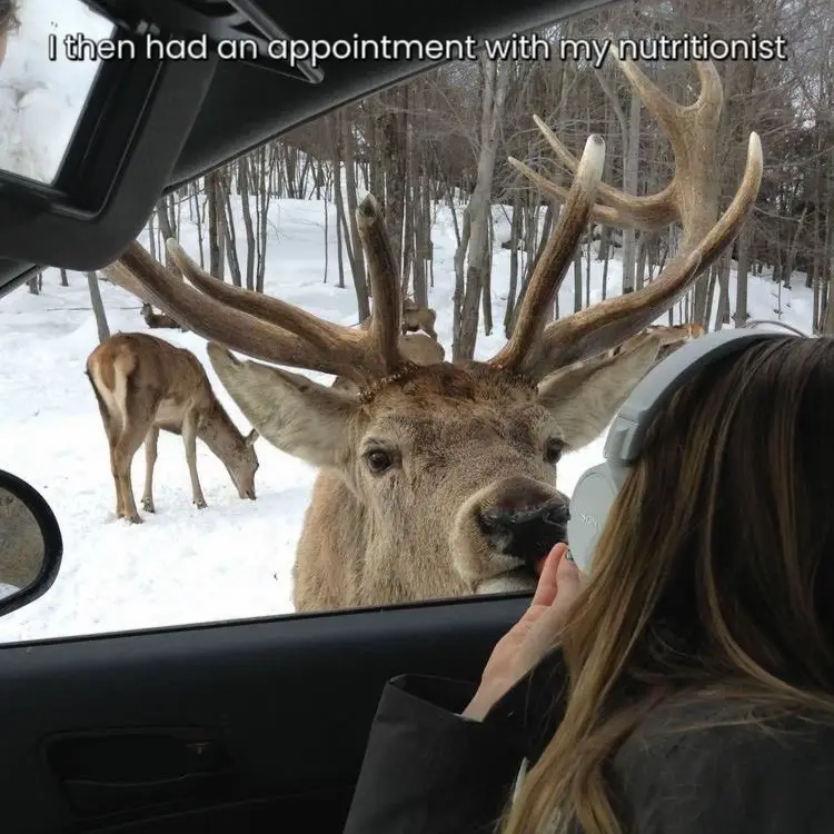 once again, another wieiad | Gallery posted by Em | Lemon8