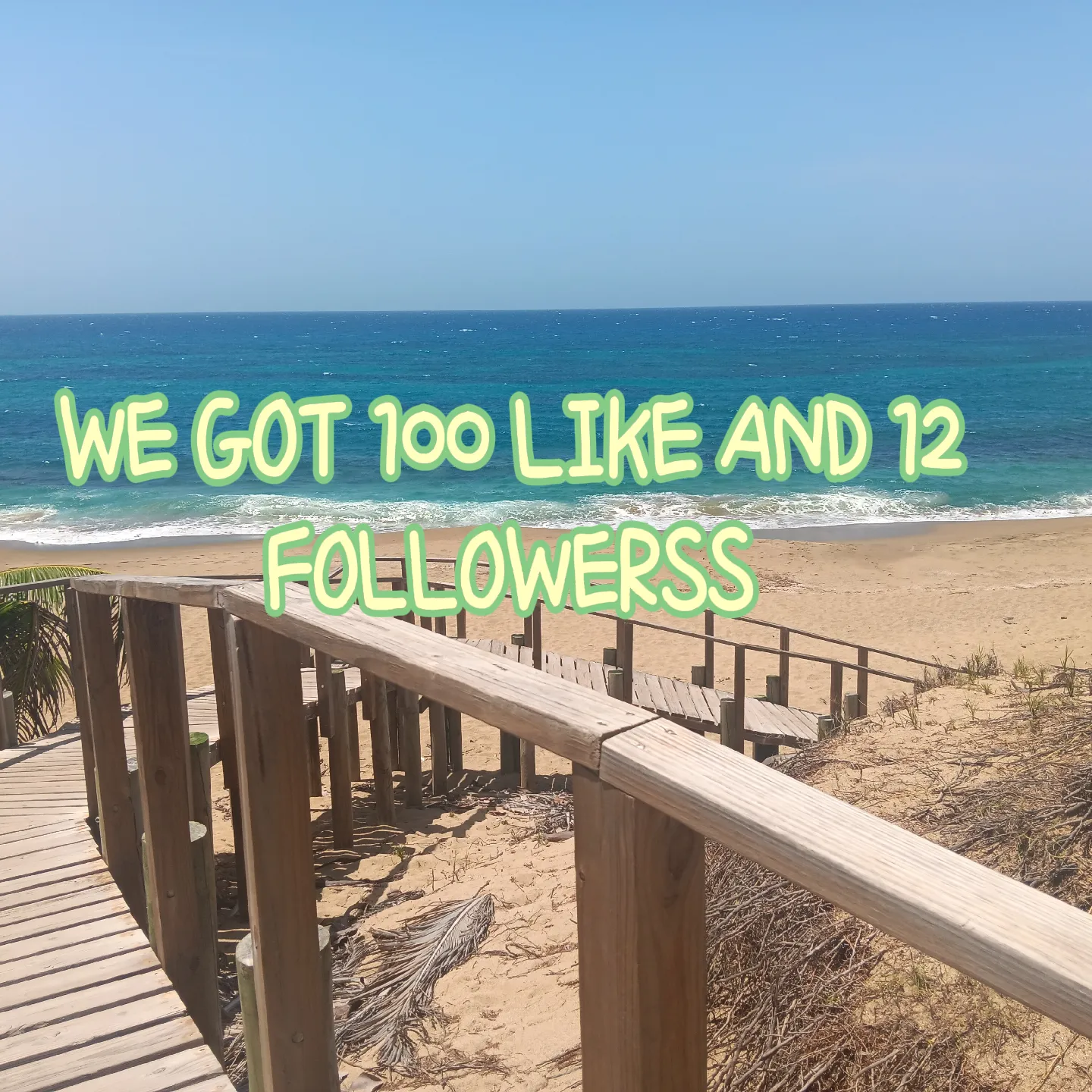 WE GOT 100 LIKE AND 12 FOLLOWERSS | Gallery posted by Koy koy | Lemon8