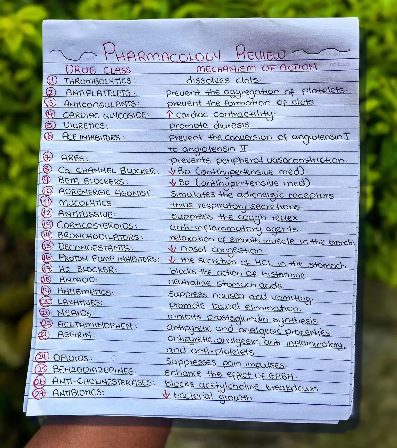 CHEAT SHEETS | Gallery posted by rae 🥝🌊🍊💞🌙 | Lemon8