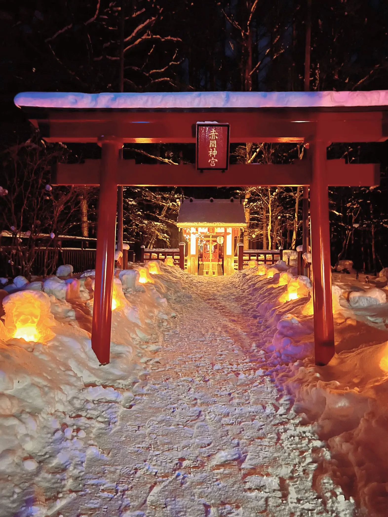 栃木 冬に絶対行きたい!!本当は教えたくない穴場スポット🤍 | chim🫧コスパ旅が投稿したフォトブック | Lemon8