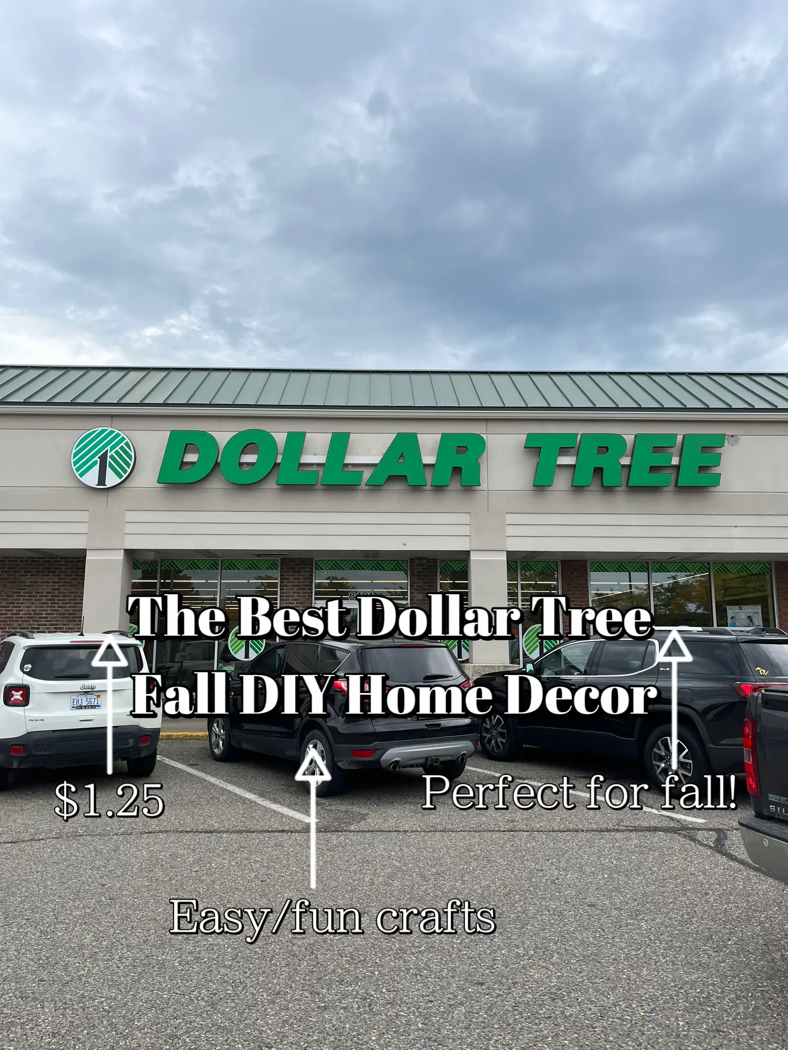 The Best Dollar Tree Fall DIY Home Decor | Gallery posted by Bethany ...