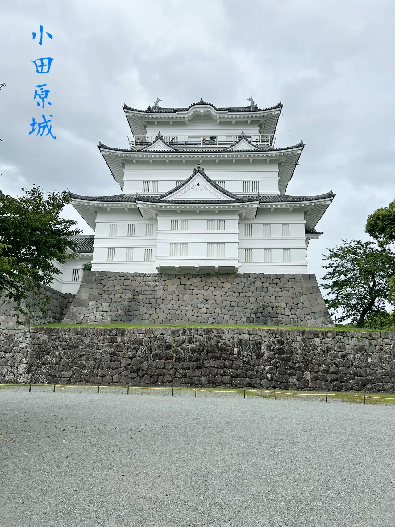 ปราสาทที่ดี🏯ต้นไม้ศักดิ์สิทธิ์ | แกลเลอรีที่โพสต์โดย Arinomama | Lemon8