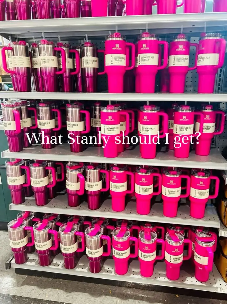 What Stanly should I get? | Gallery posted by Mavery Morrow | Lemon8