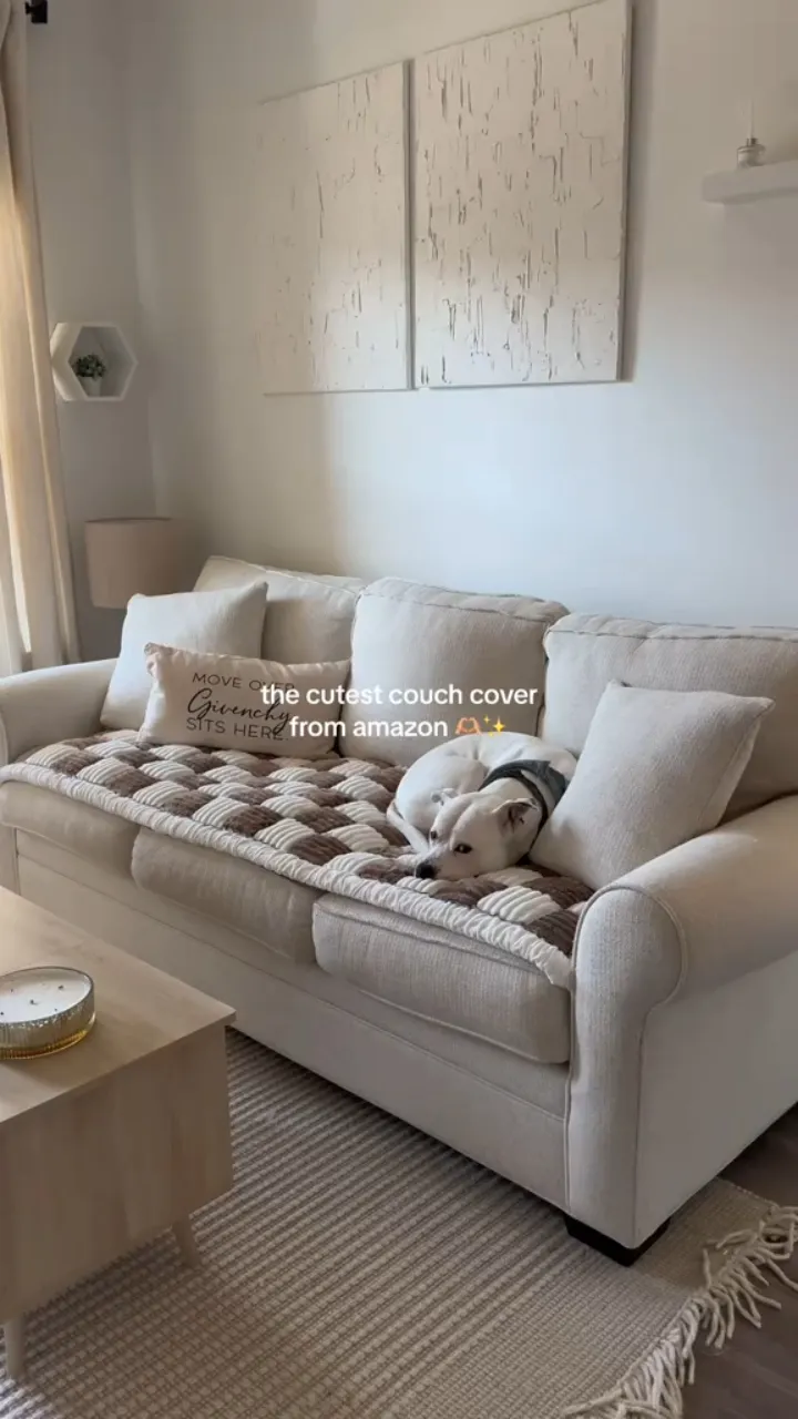 The cutest waterproof and pet-proof couch cover | Video published by ...
