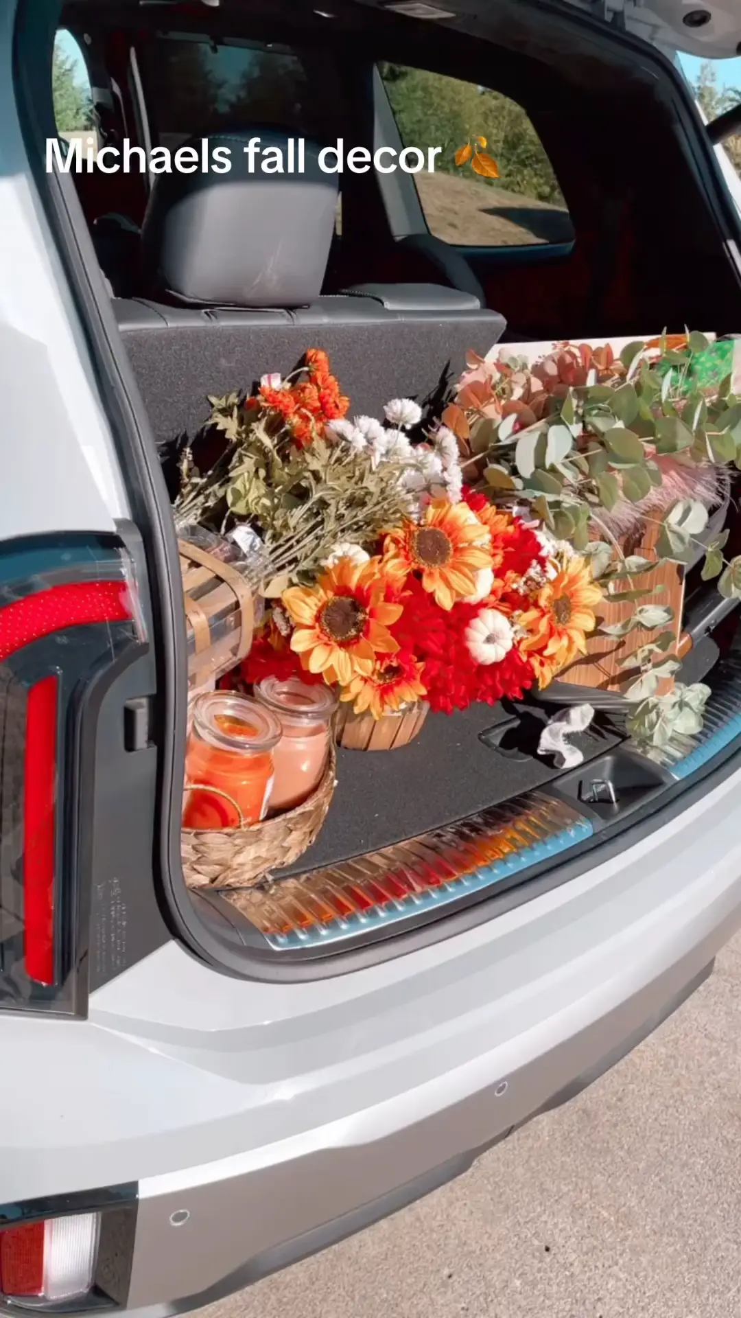 Michaels Fall Decor | Video published by Crystal | Lemon8