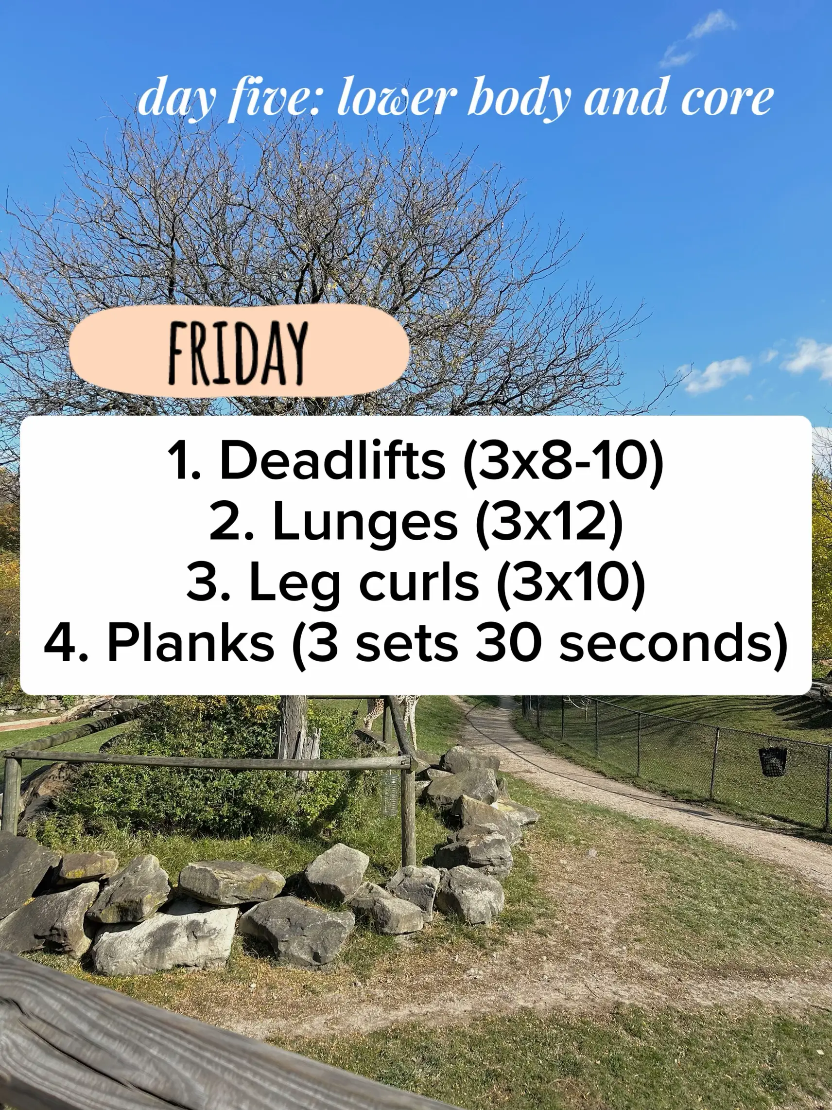 workout split idea for beginners! | Gallery posted by Cameron Resor ...