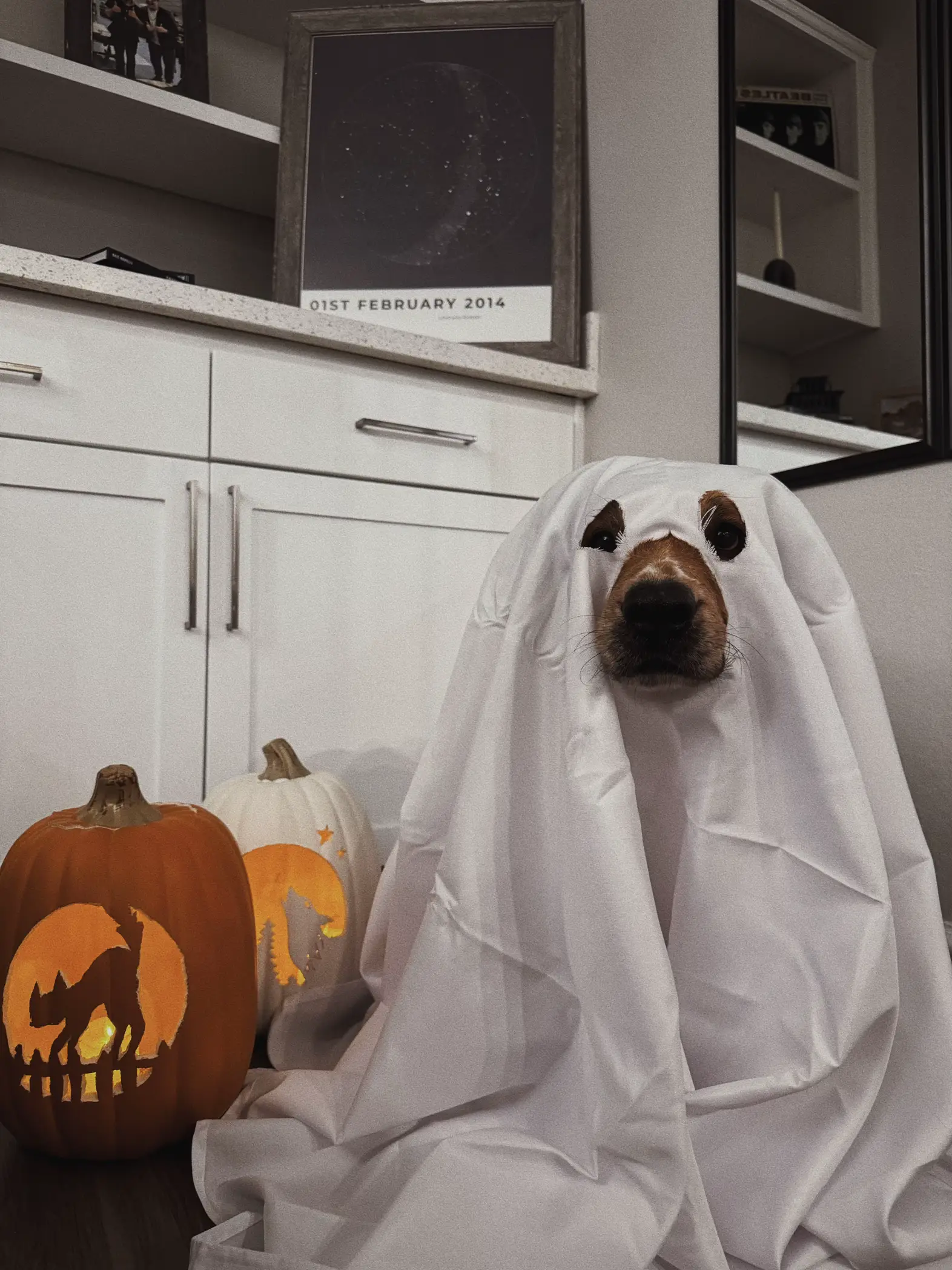 HAPPYWEEN, SAY IT BACK! 👻 | Gallery posted by megan noel | Lemon8