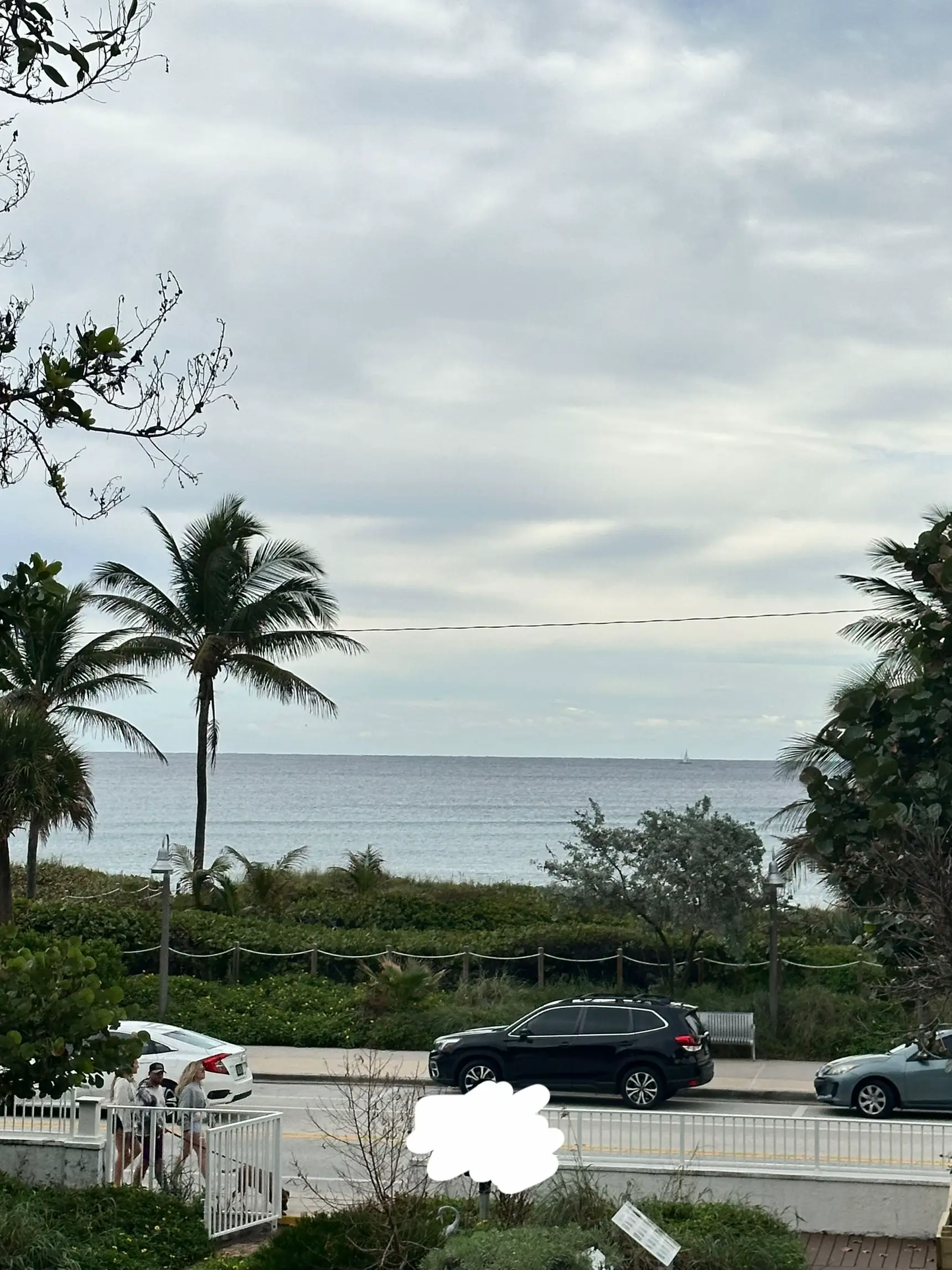 Cute Florida pics! | Gallery posted by RachelMiller | Lemon8