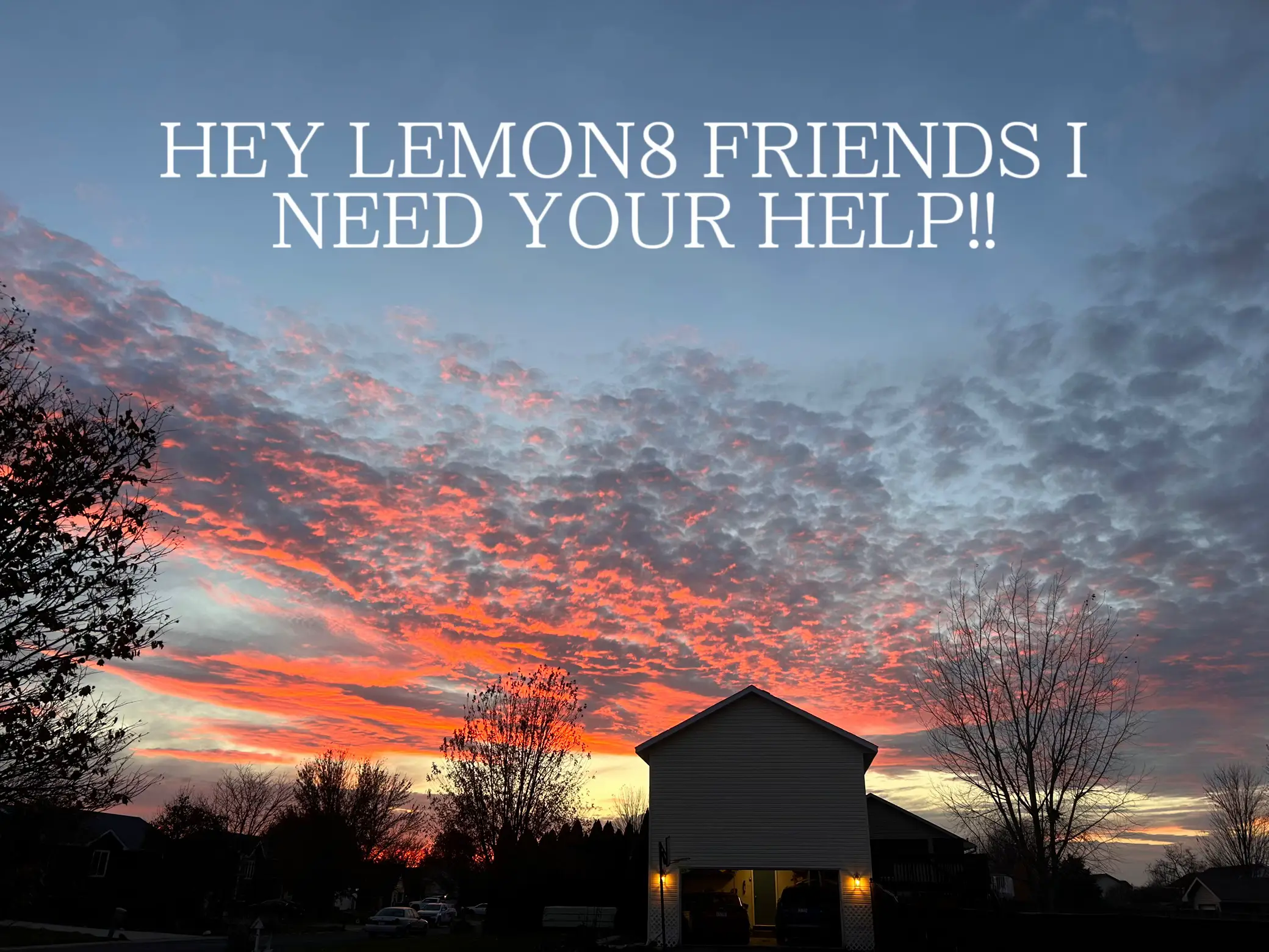 HEY LEMON8 FRIENDS I NEED YOUR HELP!! | Gallery posted by Lily Moseman | Lemon8
