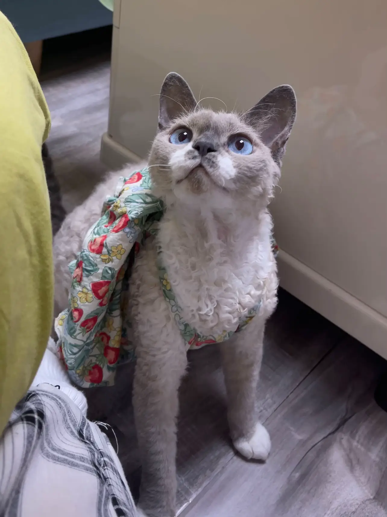 恋に落ちた瞬間 | FUFUが投稿したフォトブック | Lemon8