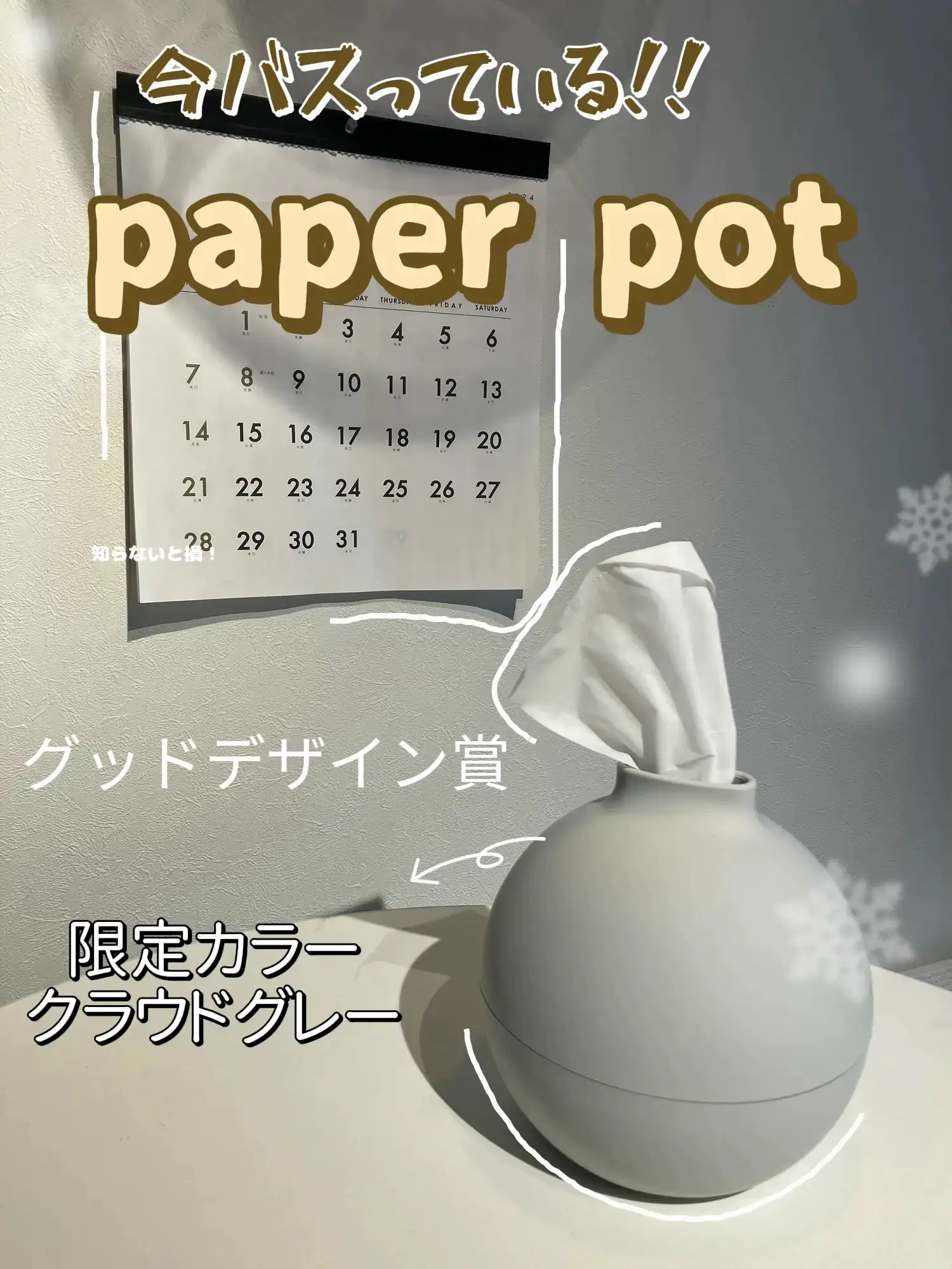 Paper pot on the bus now | Gallery posted by pippi|無機質インテリア | Lemon8