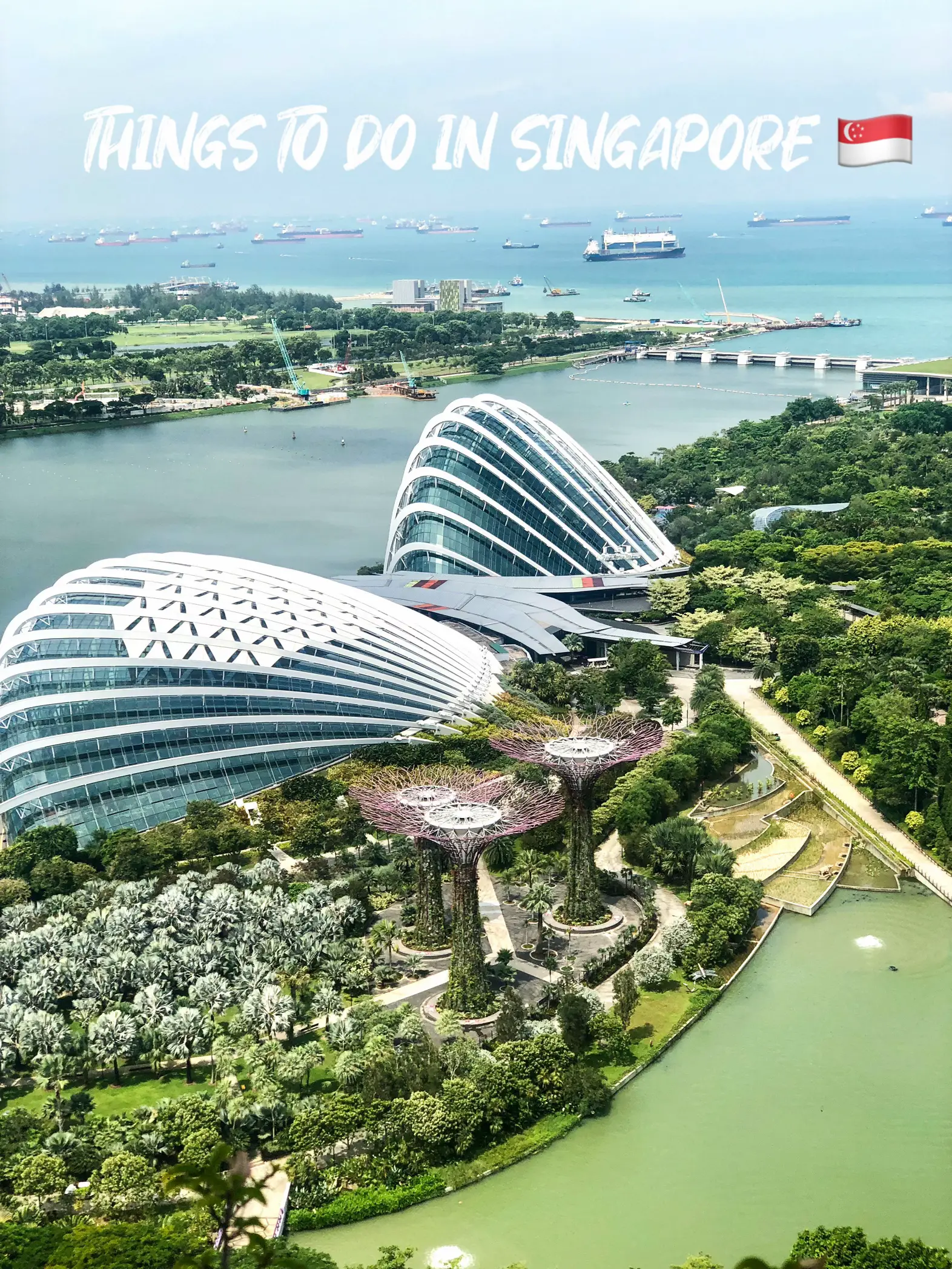 THINGS TO DO IN SINGAPORE 🇸🇬 | Gallery posted by Jadethetraveler | Lemon8