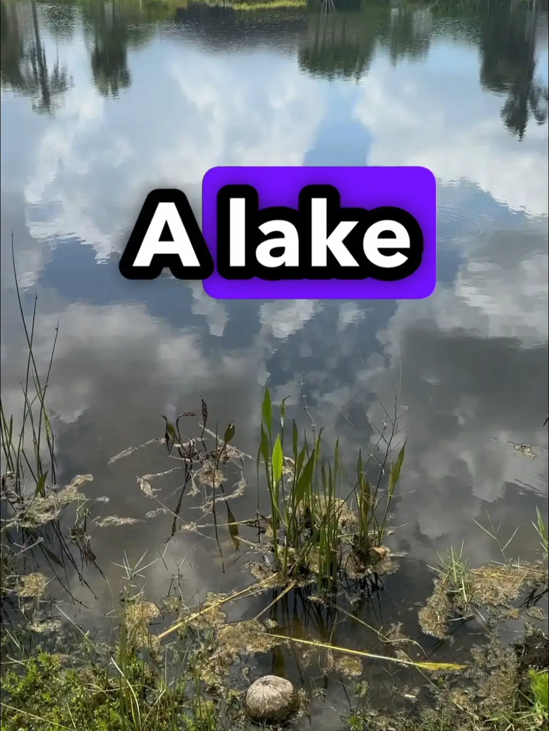 🔵 | Mr Flowの投稿動画 | Lemon8