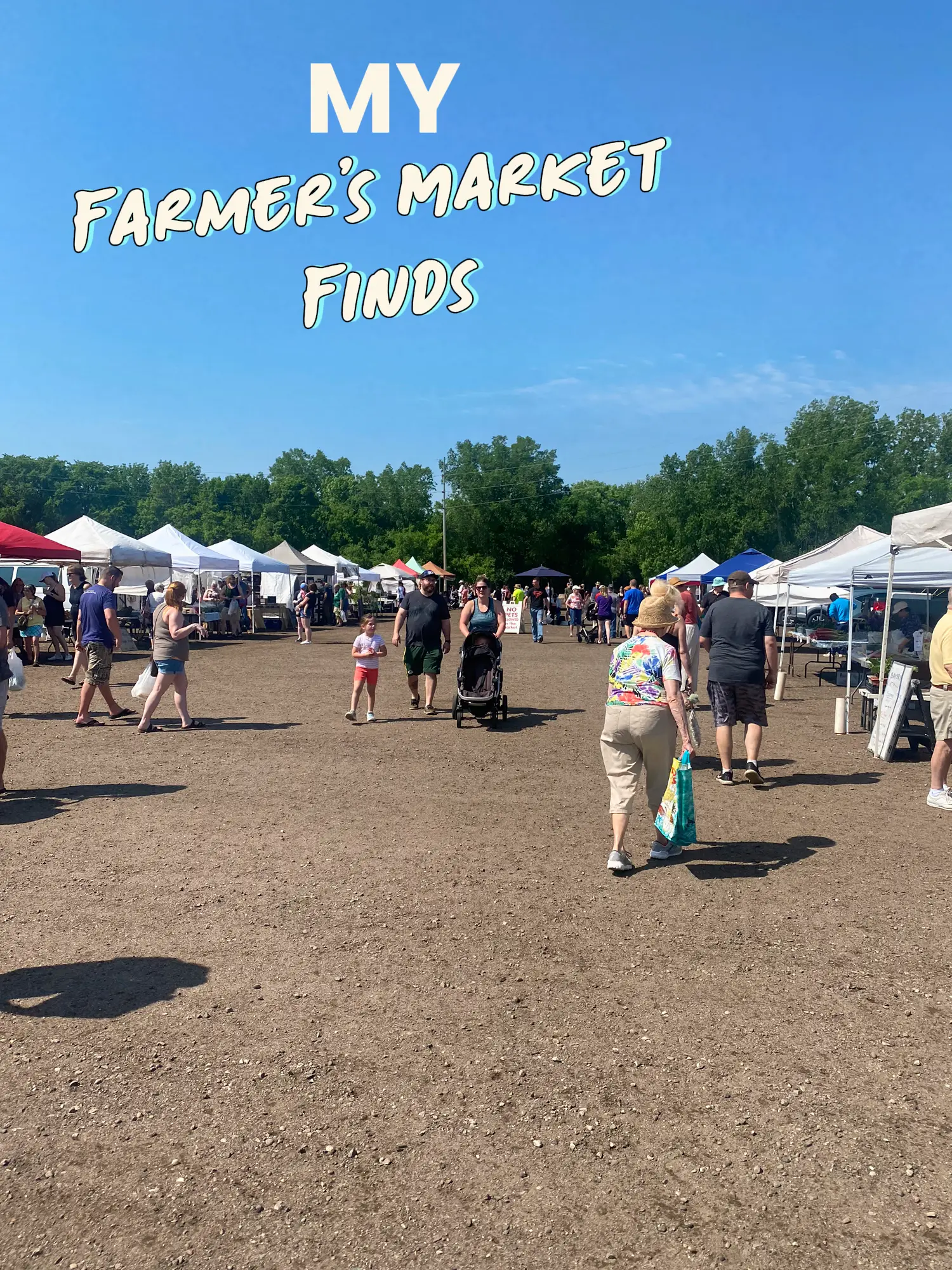 Farmer’s Market Finds | Gallery posted by Chels💐🤠🌅 | Lemon8