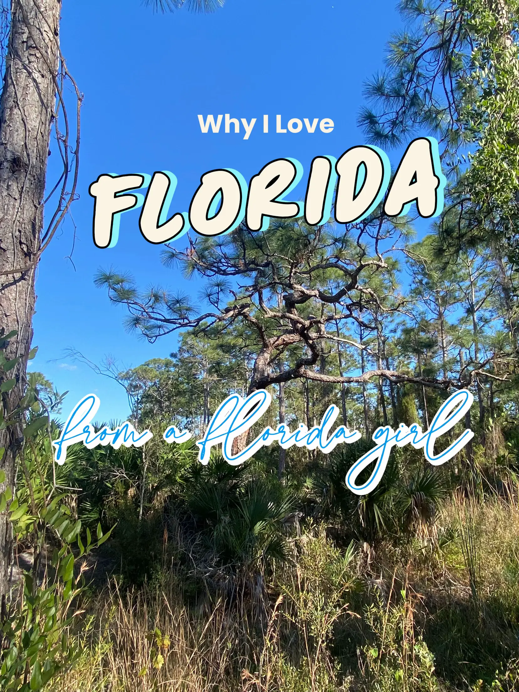 florida | Gallery posted by cricket/madi | Lemon8