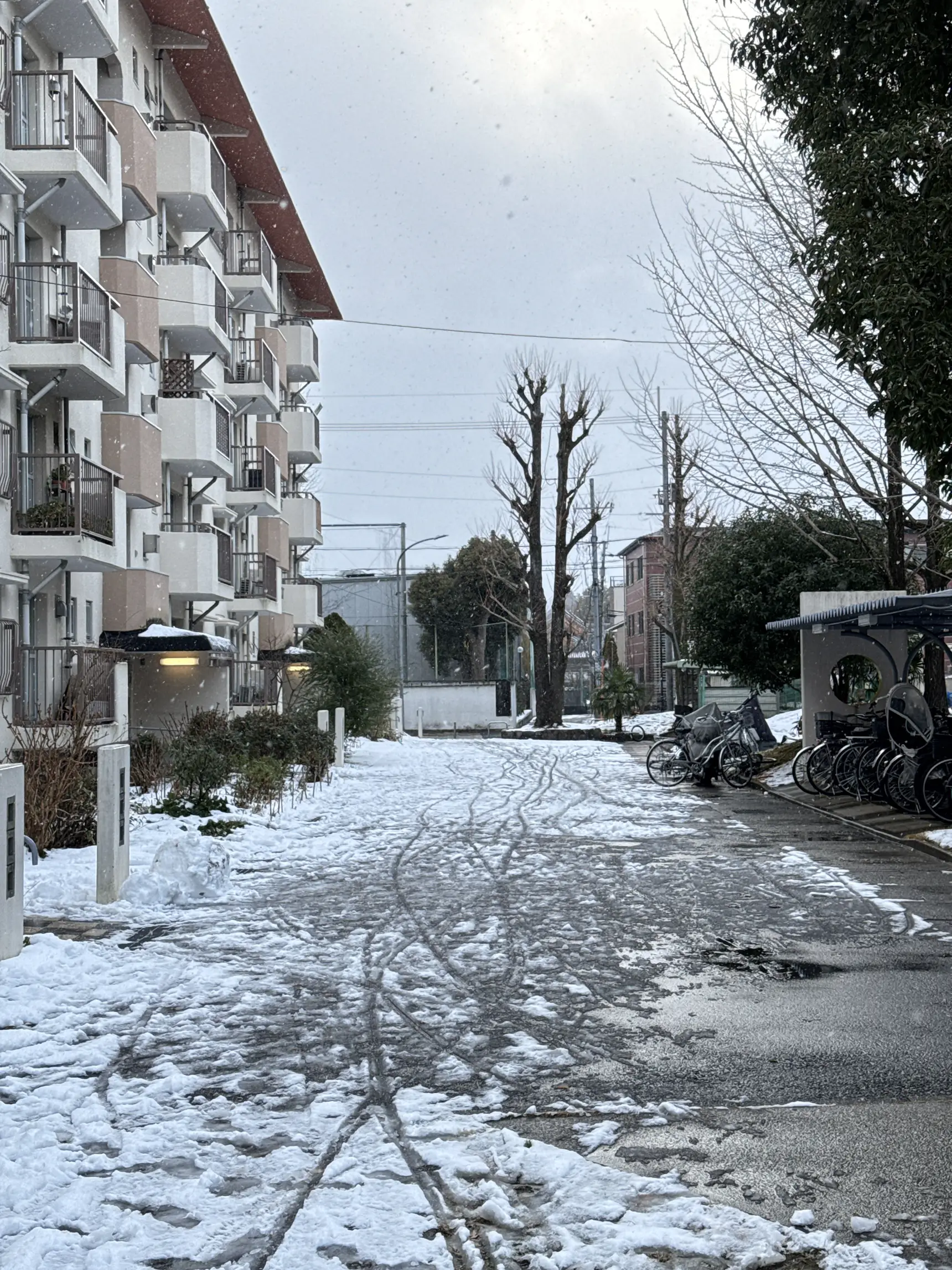 Hello 2025! First winter this year. ️ | This is JONAが投稿したフォトブック | Lemon8