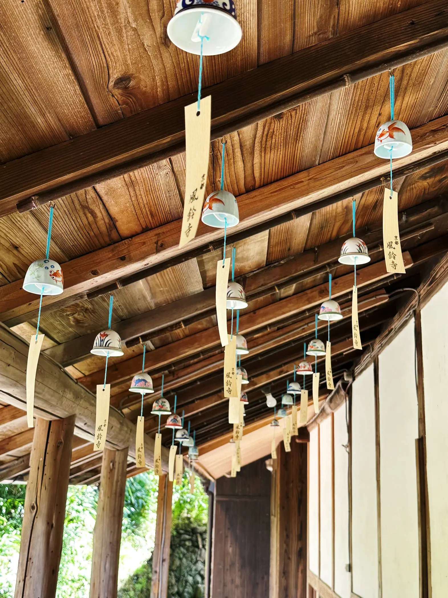 ถ่ายทำในเกียวโต⛩️วัดโชจูอิน _ เทศกาลกระดิ่งลมในปี 2566 | แกลเลอรีที่โพสต์โดย びんぼうたび | Lemon8