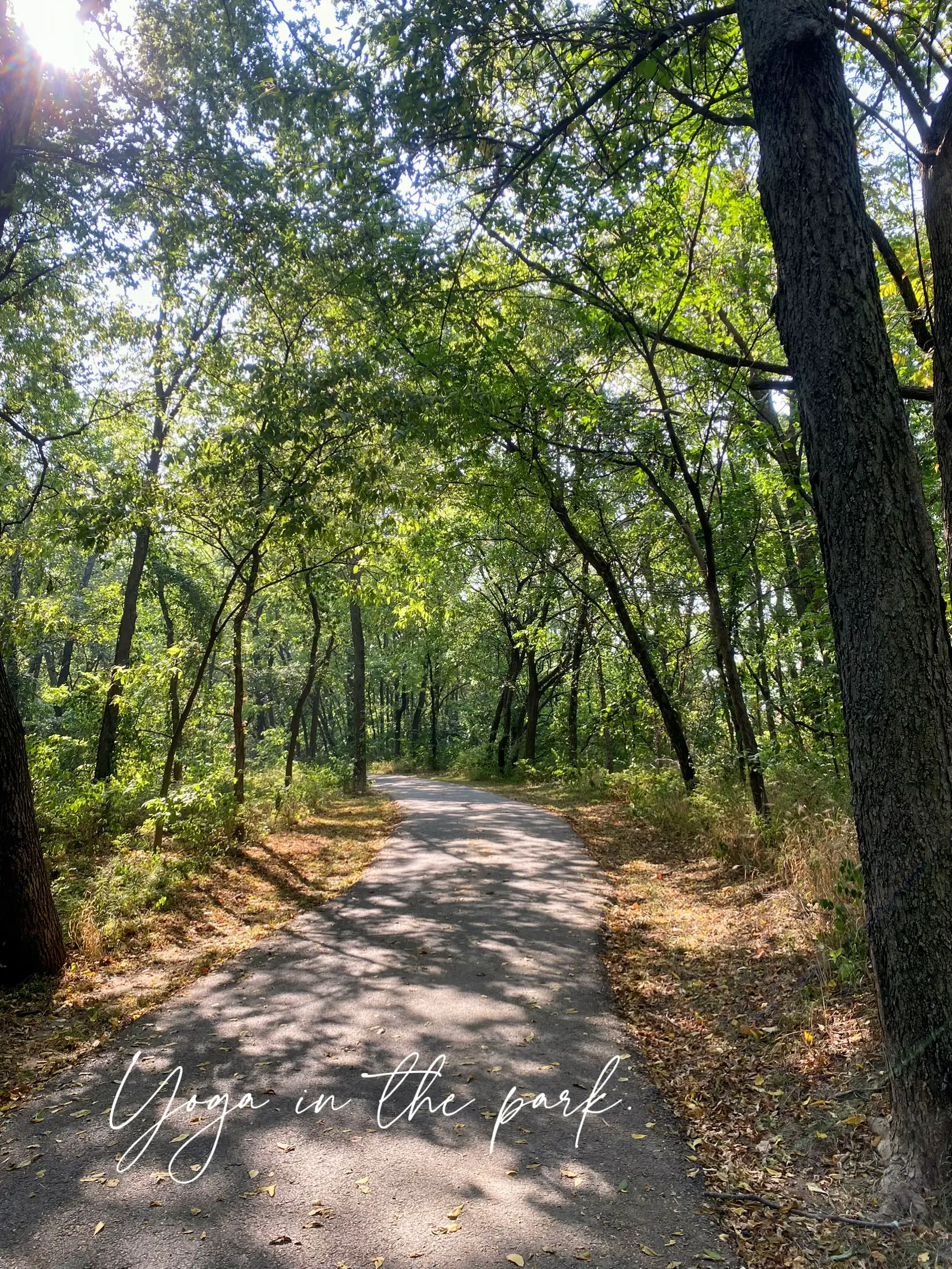 Yoga in the park. | Gallery posted by Audisox | Lemon8