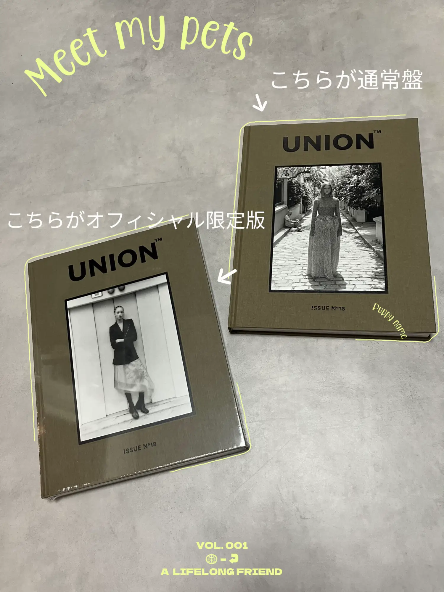 UNION | pippi|無機質インテリアが投稿したフォトブック | Lemon8